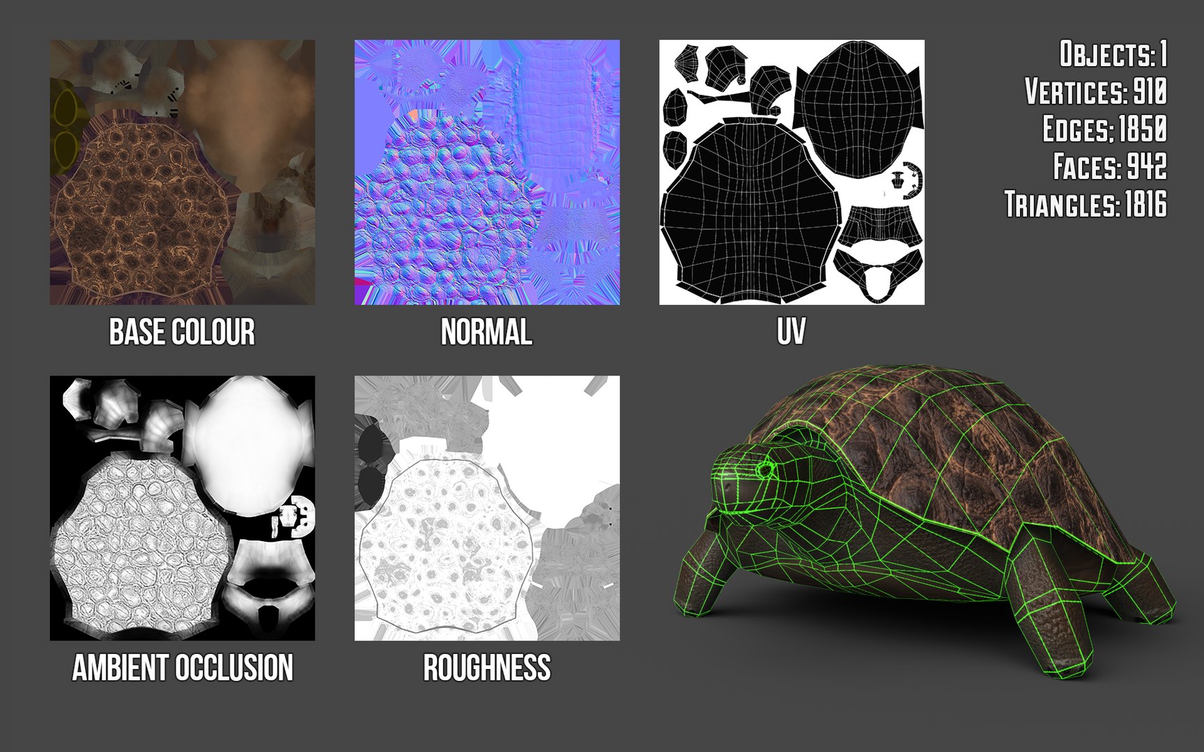 Rigged Turtle 3D Model - TurboSquid 2259716