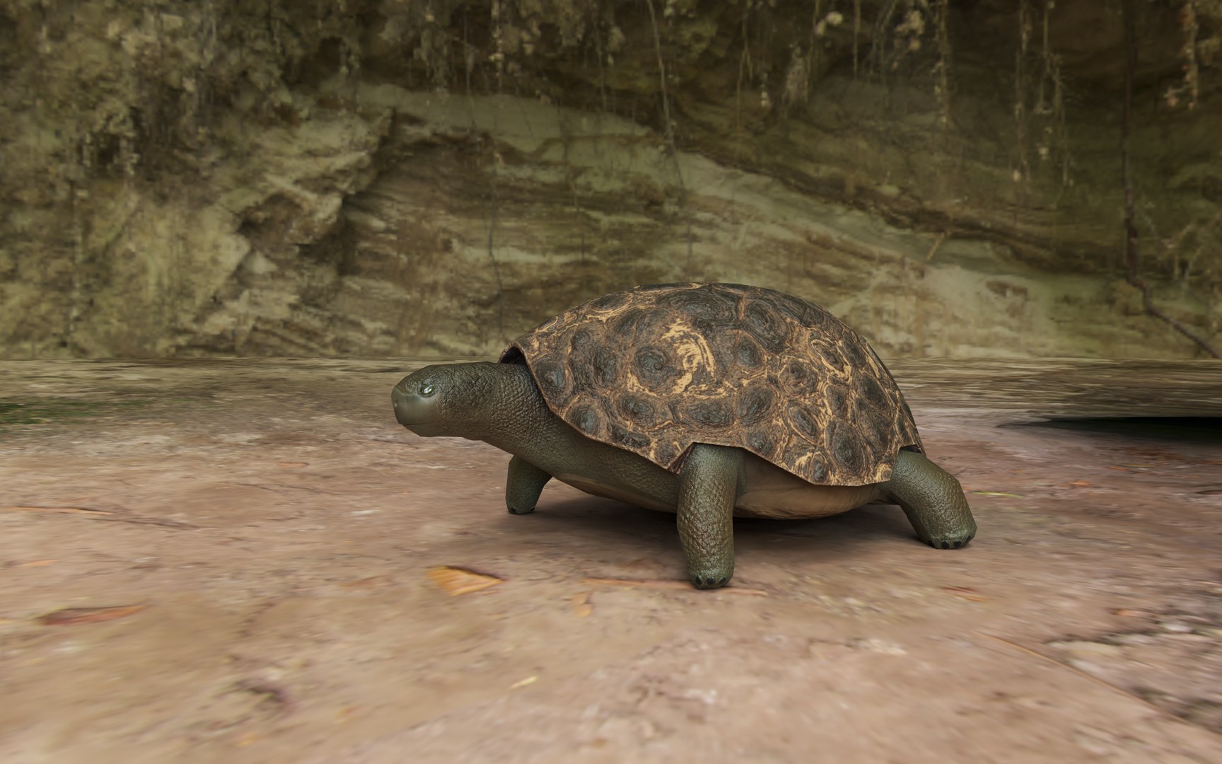 Rigged Turtle 3D Model - TurboSquid 2259716