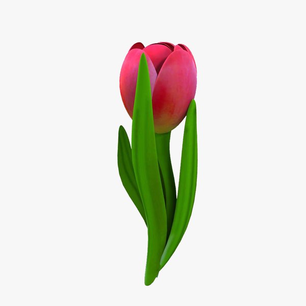 modelo 3d Tulipán rojo c - TurboSquid 889648