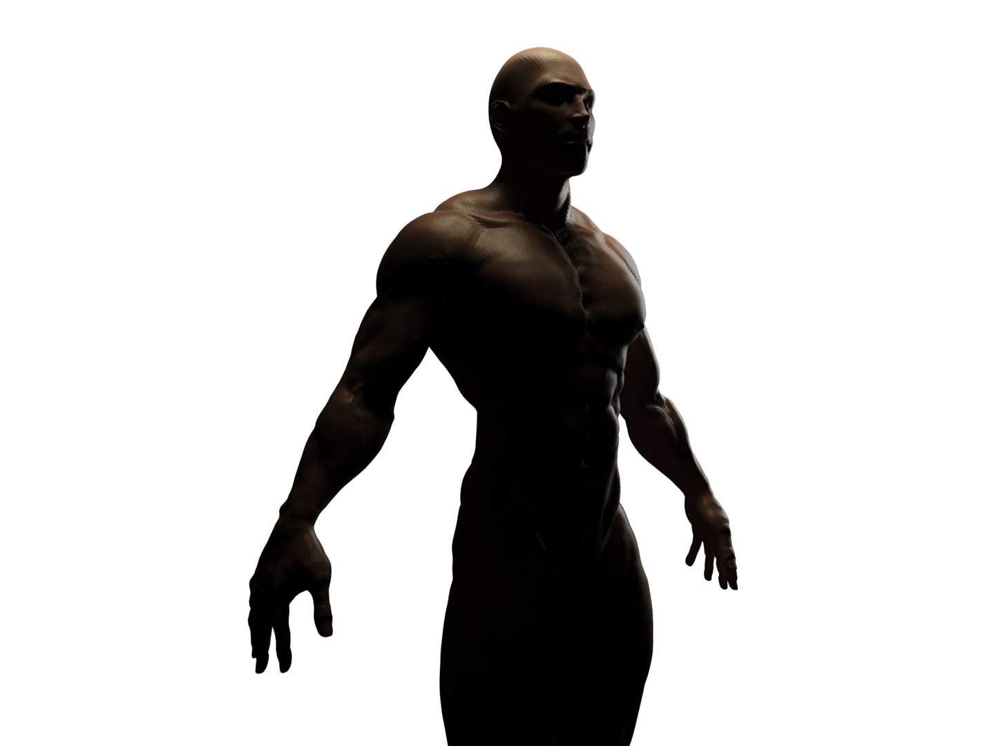 3d model of man muscular