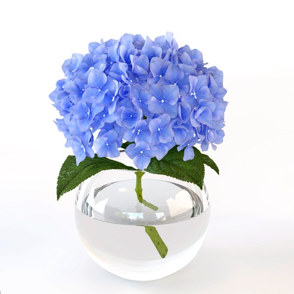 branch hydrangeas glass vase max