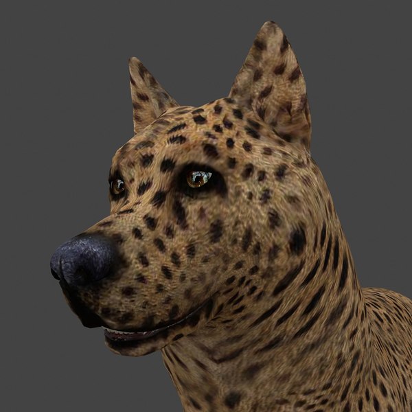 Rigged Dog Maya Models for Download | TurboSquid