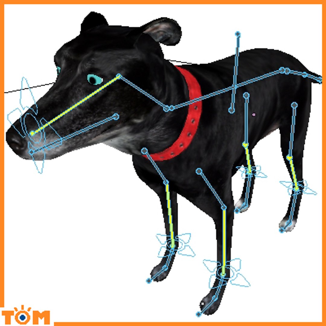 Dog Black Lab 3d Model