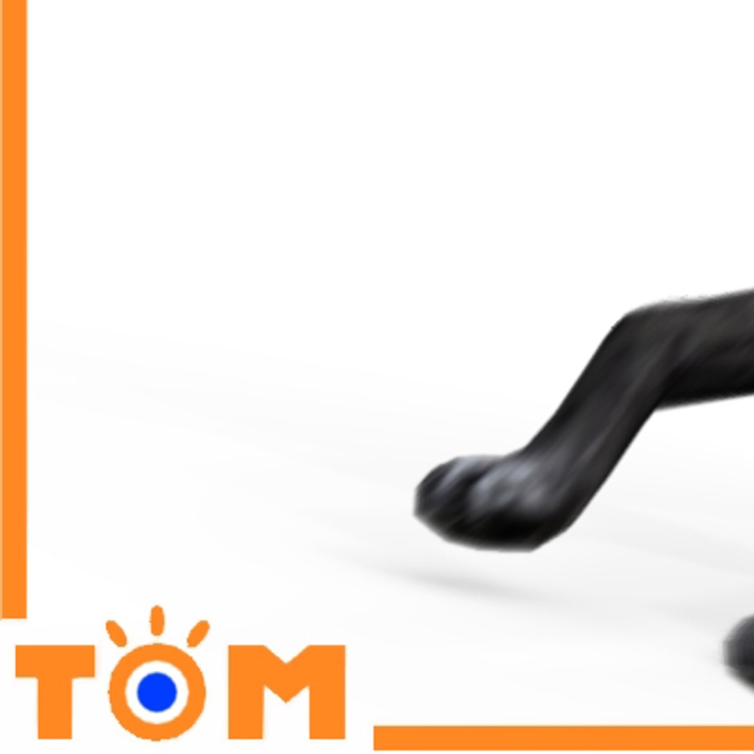 Dog Black Lab 3d Model