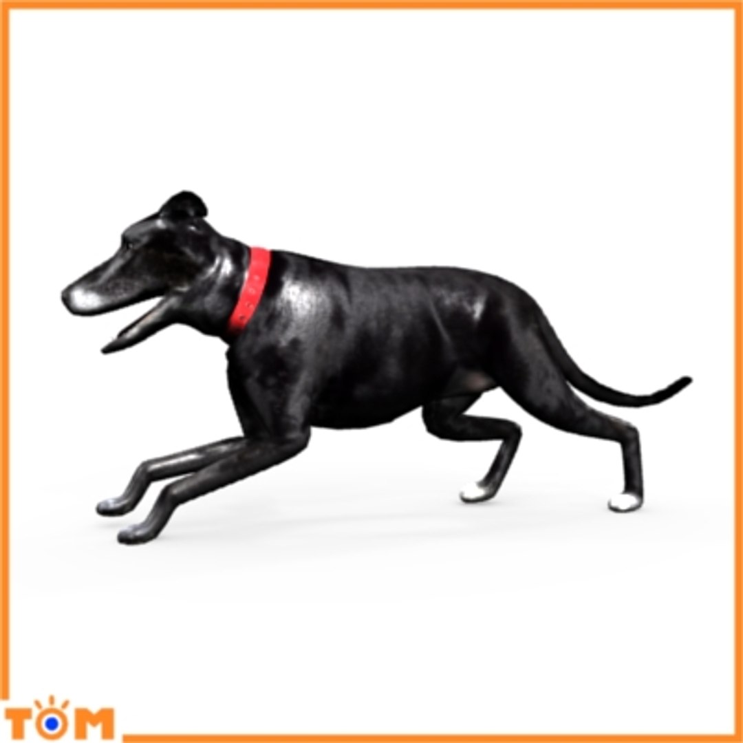 Dog Black Lab 3d Model