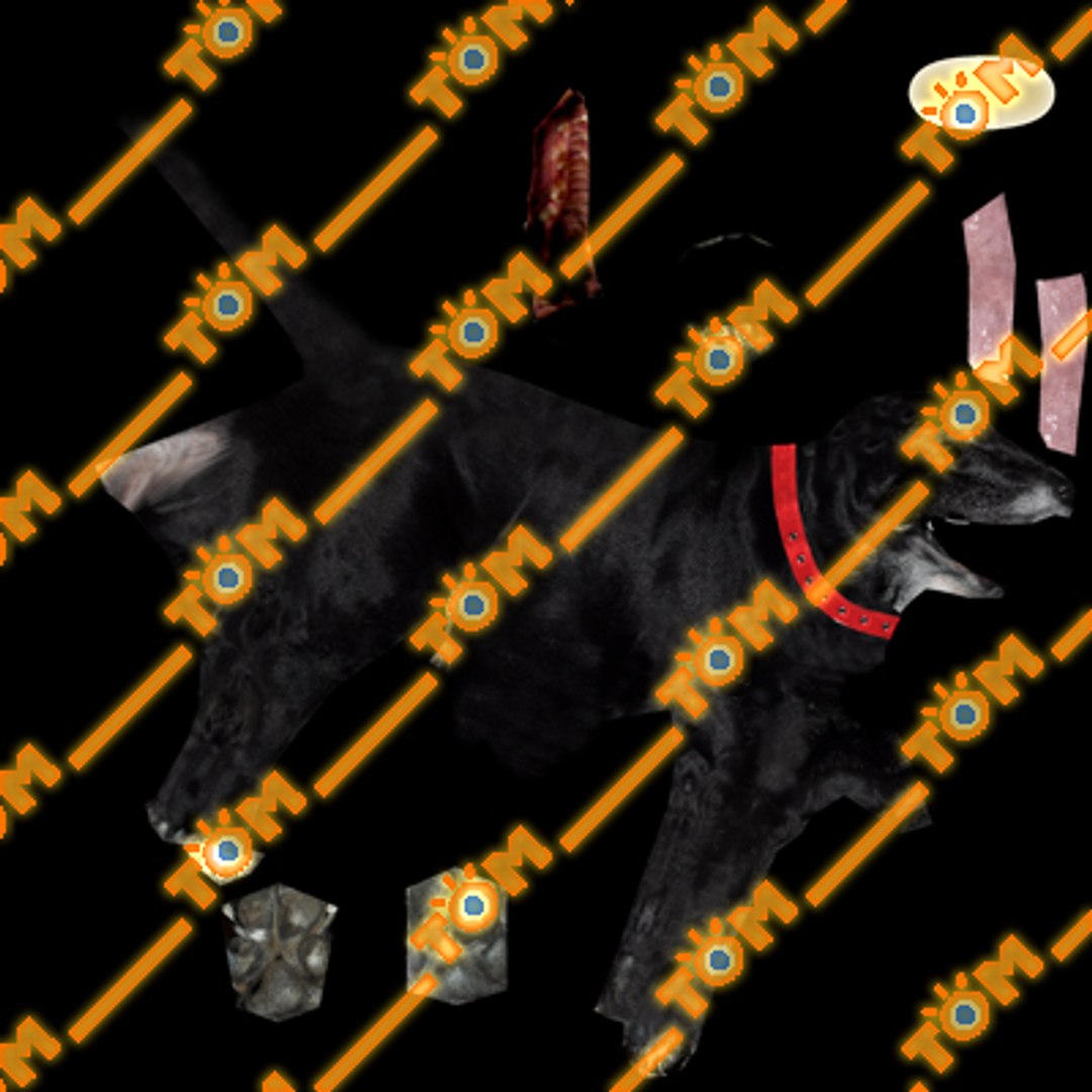 Dog Black Lab 3d Model