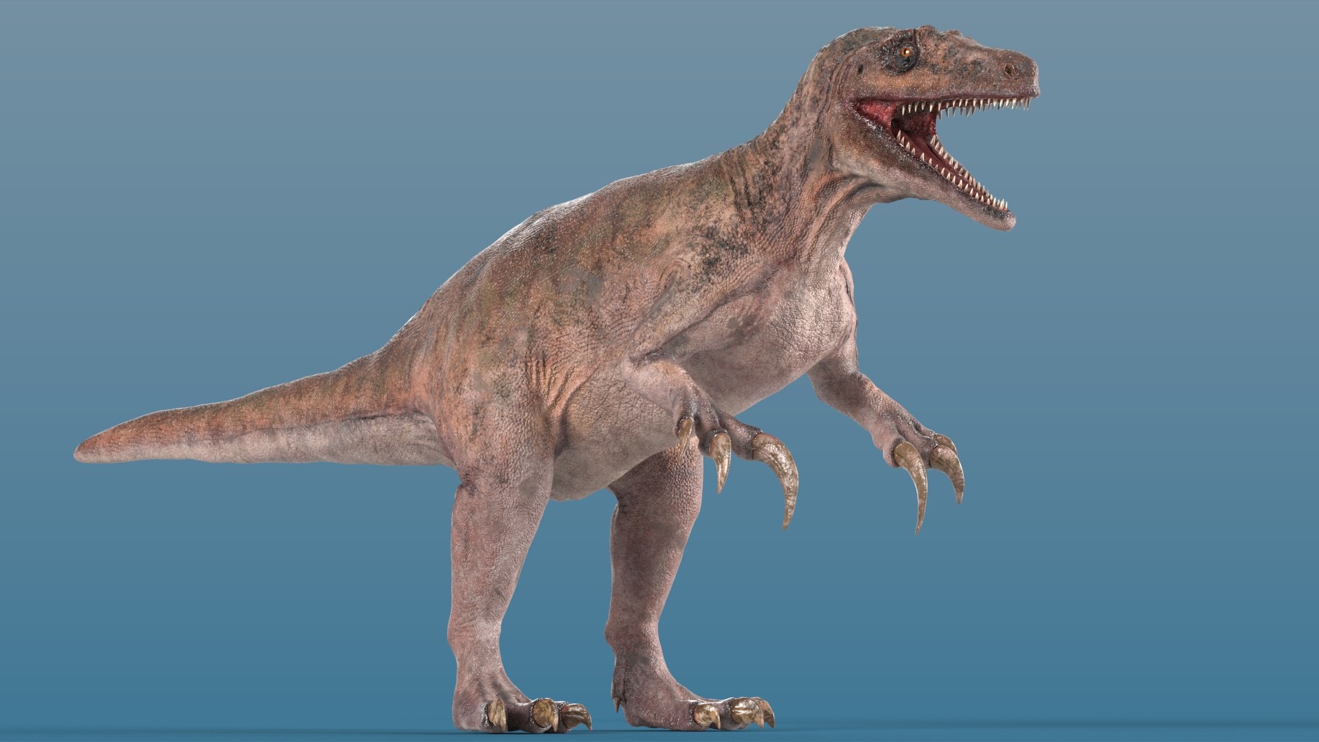 Maip Macrothorax 3D Model 3D Model - TurboSquid 2120279