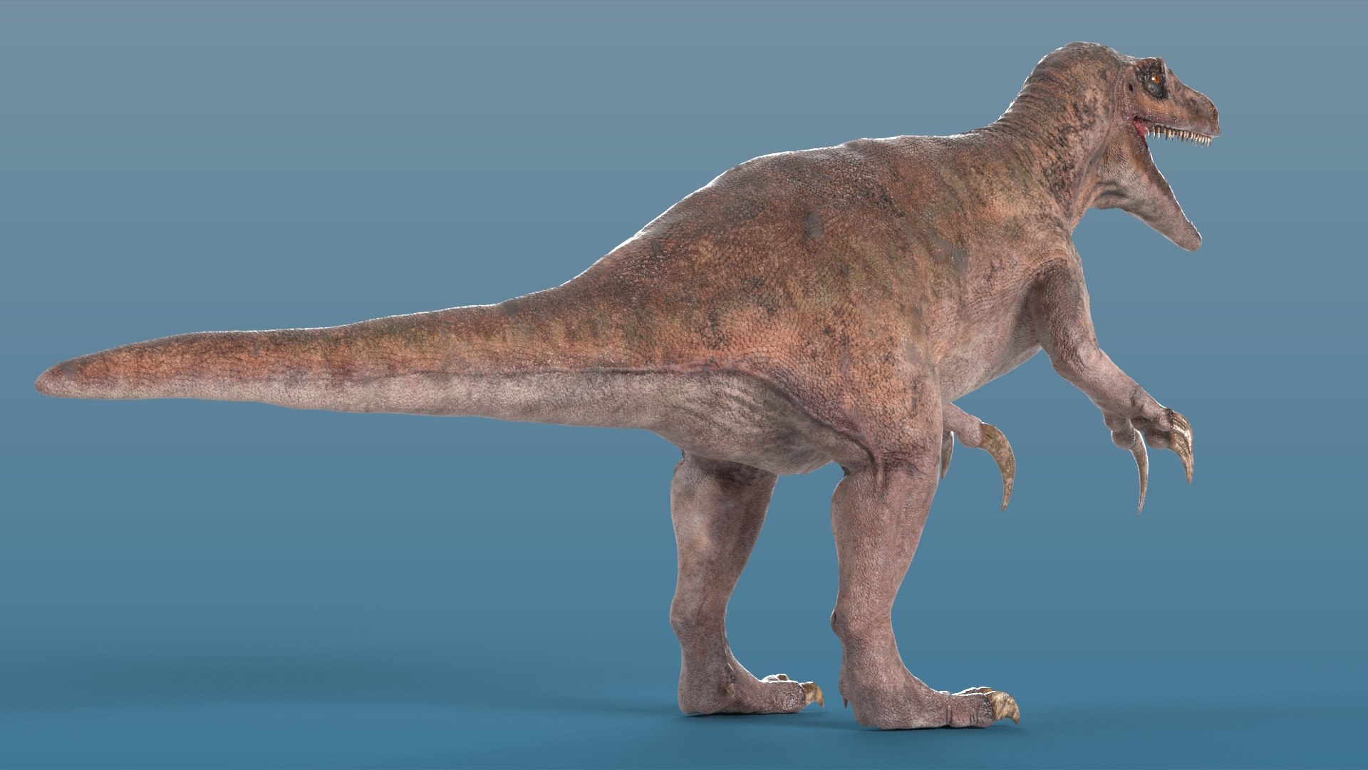 Maip Macrothorax 3D Model 3D Model - TurboSquid 2120279