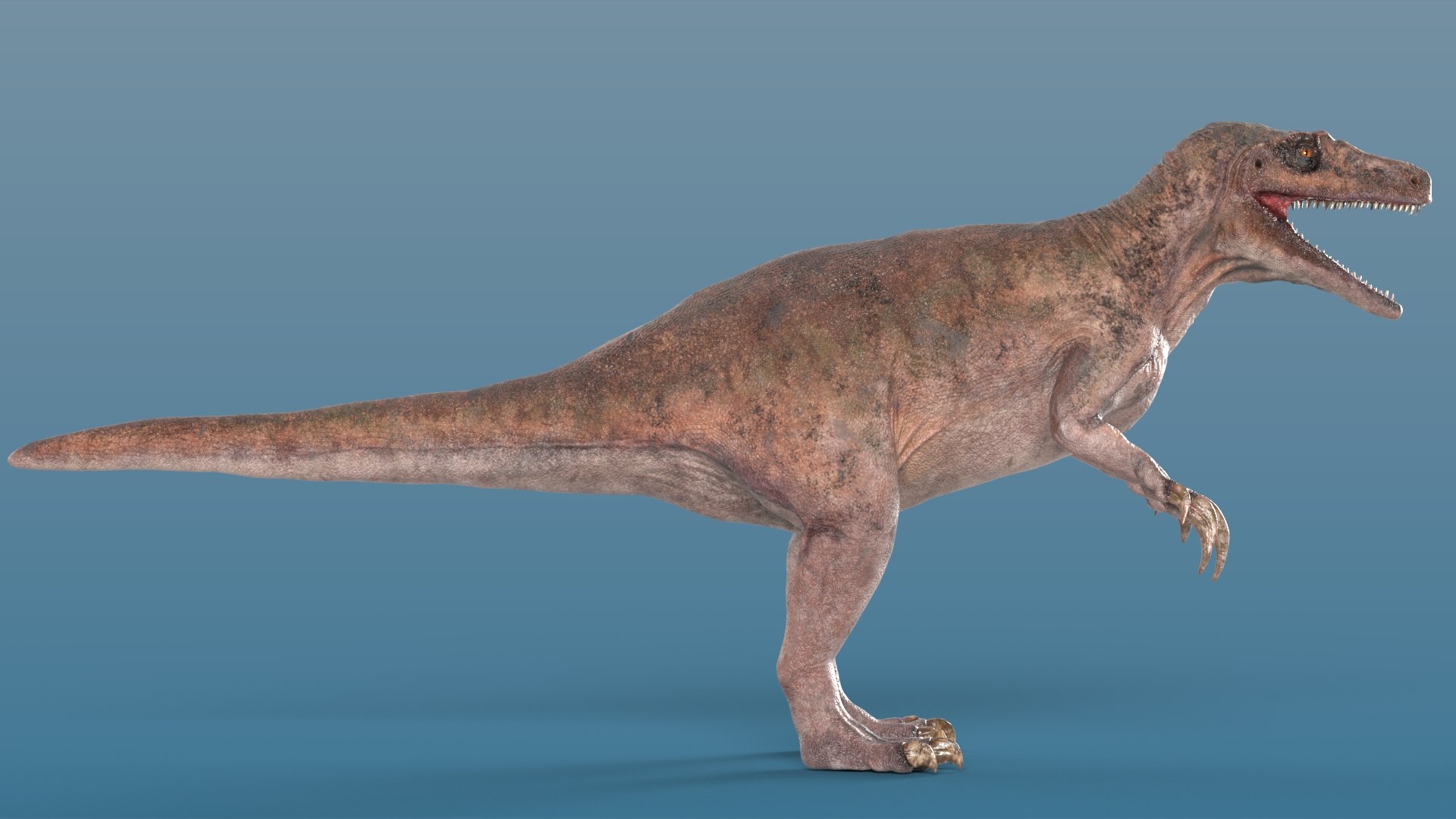 Maip Macrothorax 3D Model 3D Model - TurboSquid 2120279