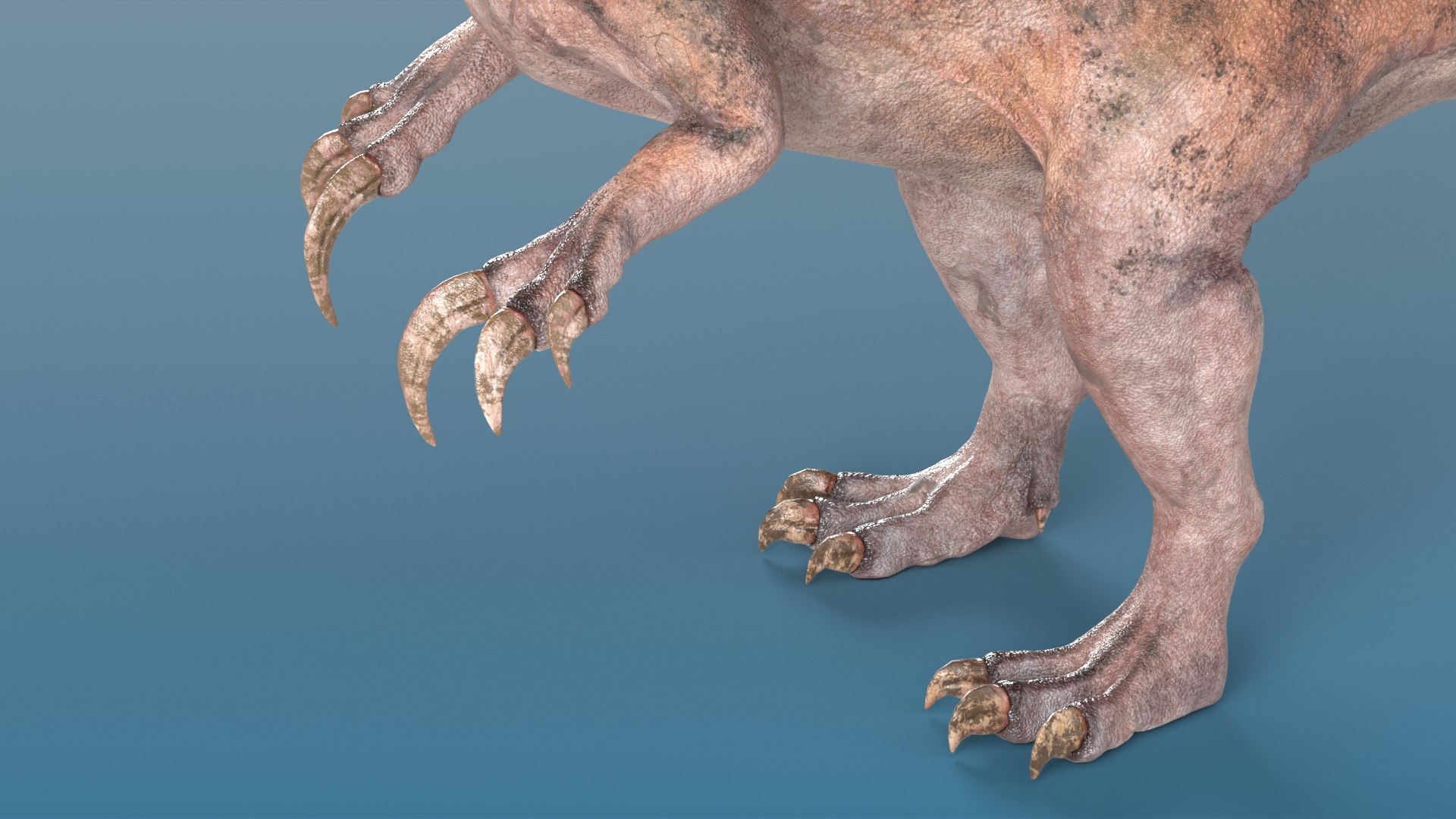 Maip Macrothorax 3D Model 3D Model - TurboSquid 2120279