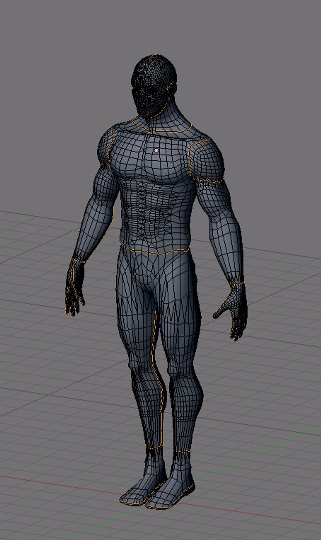Human Male Animations 3d Model