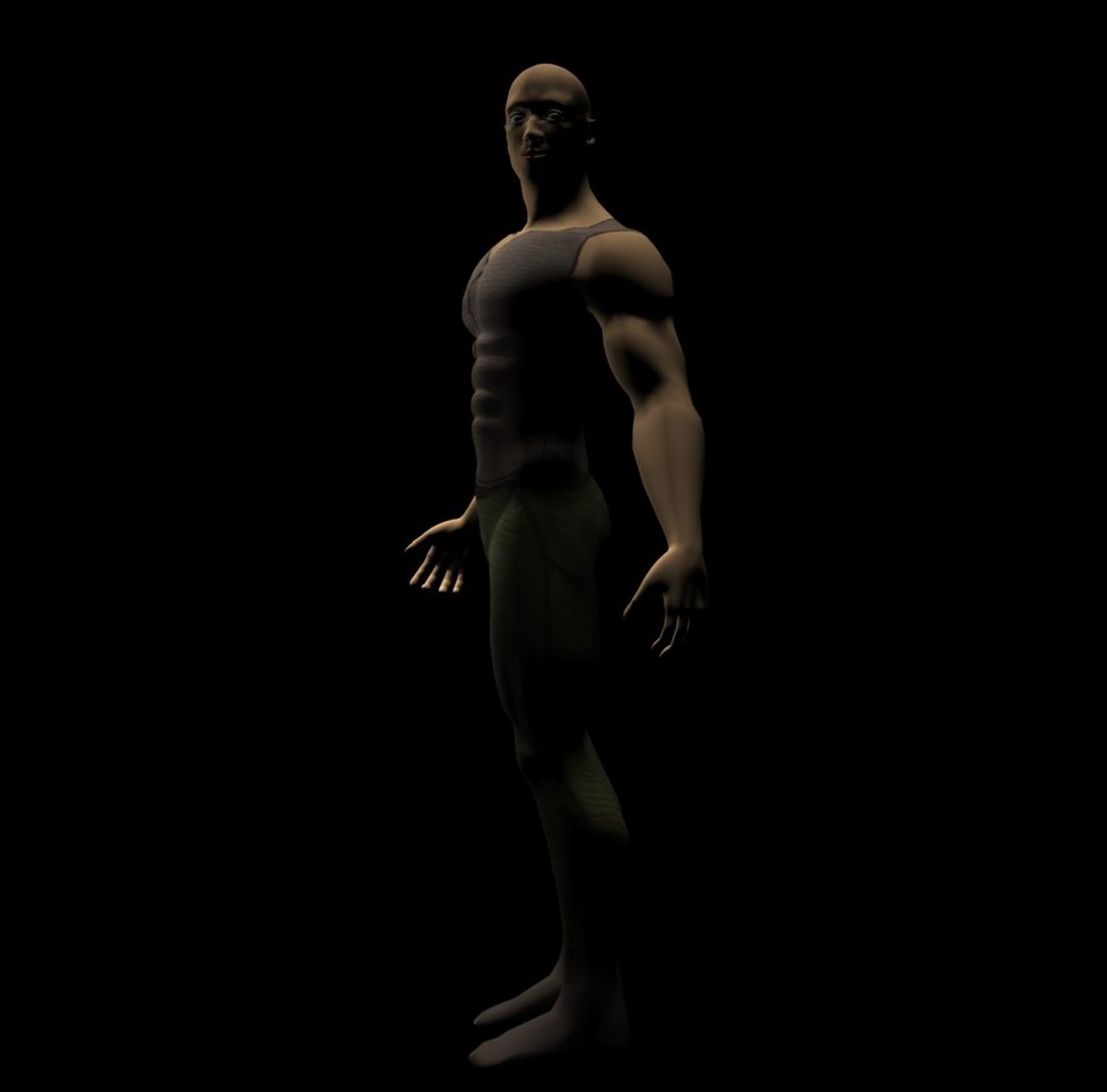 Human Male Animations 3d Model