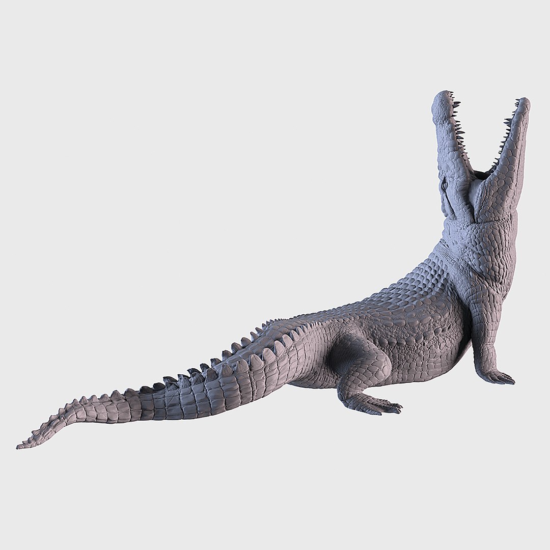 Crocodile 3D Model - TurboSquid 2273298