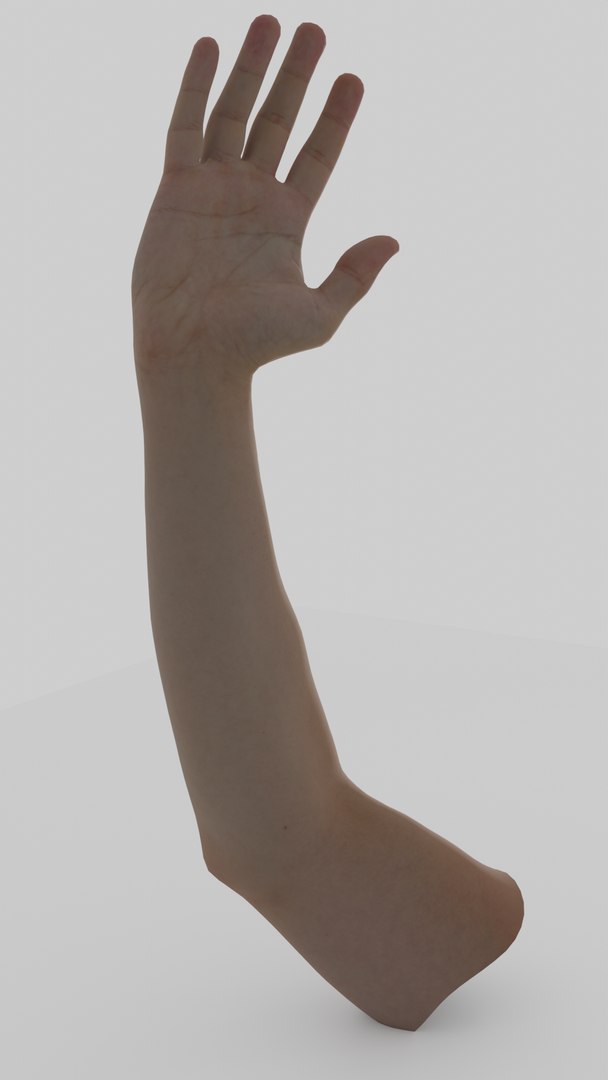 Hand Model Photorealistic With Plain And Tattoo Texture - Low-poly 3D ...