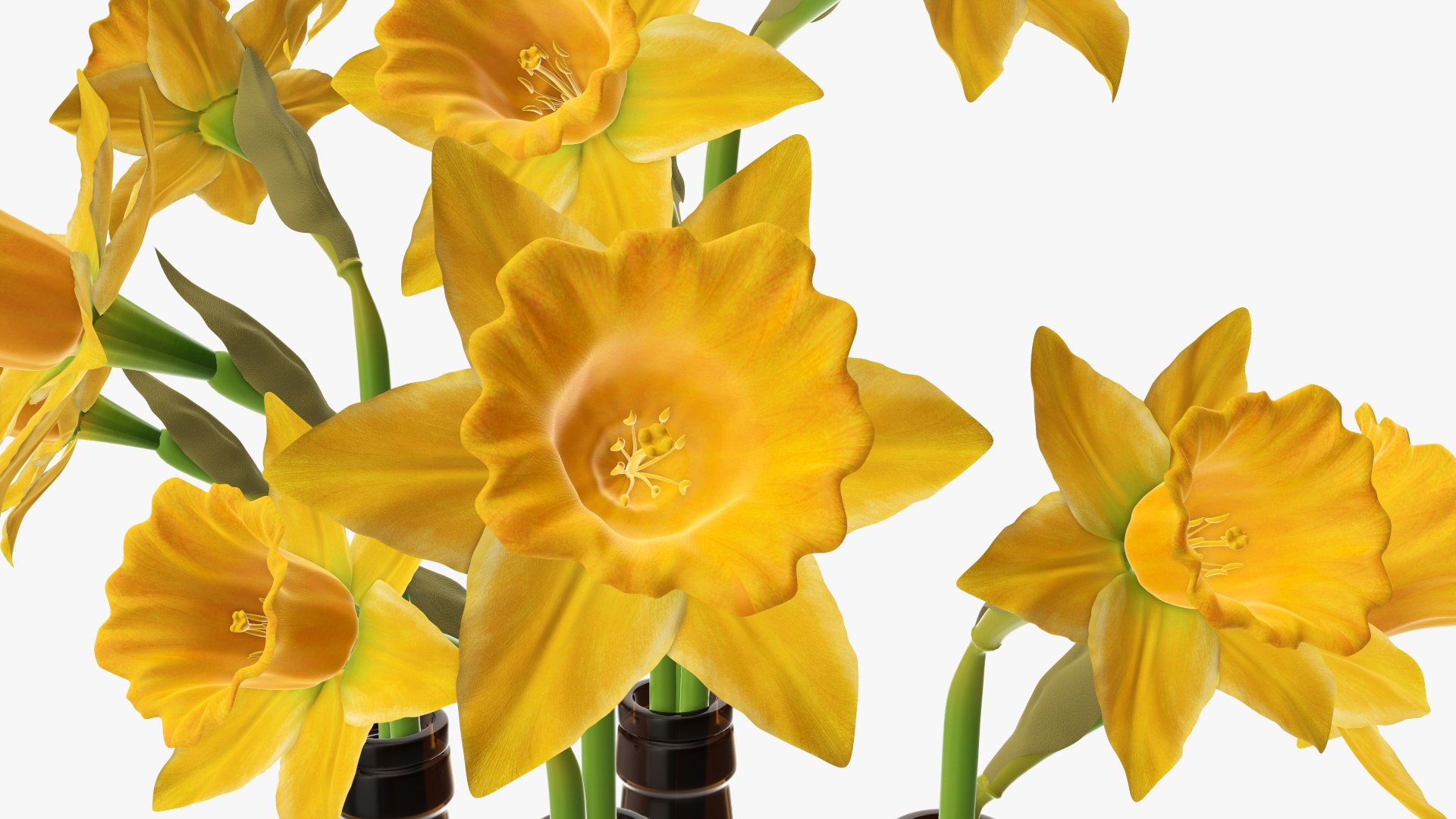 3D Pbr Color Model - TurboSquid 1546004