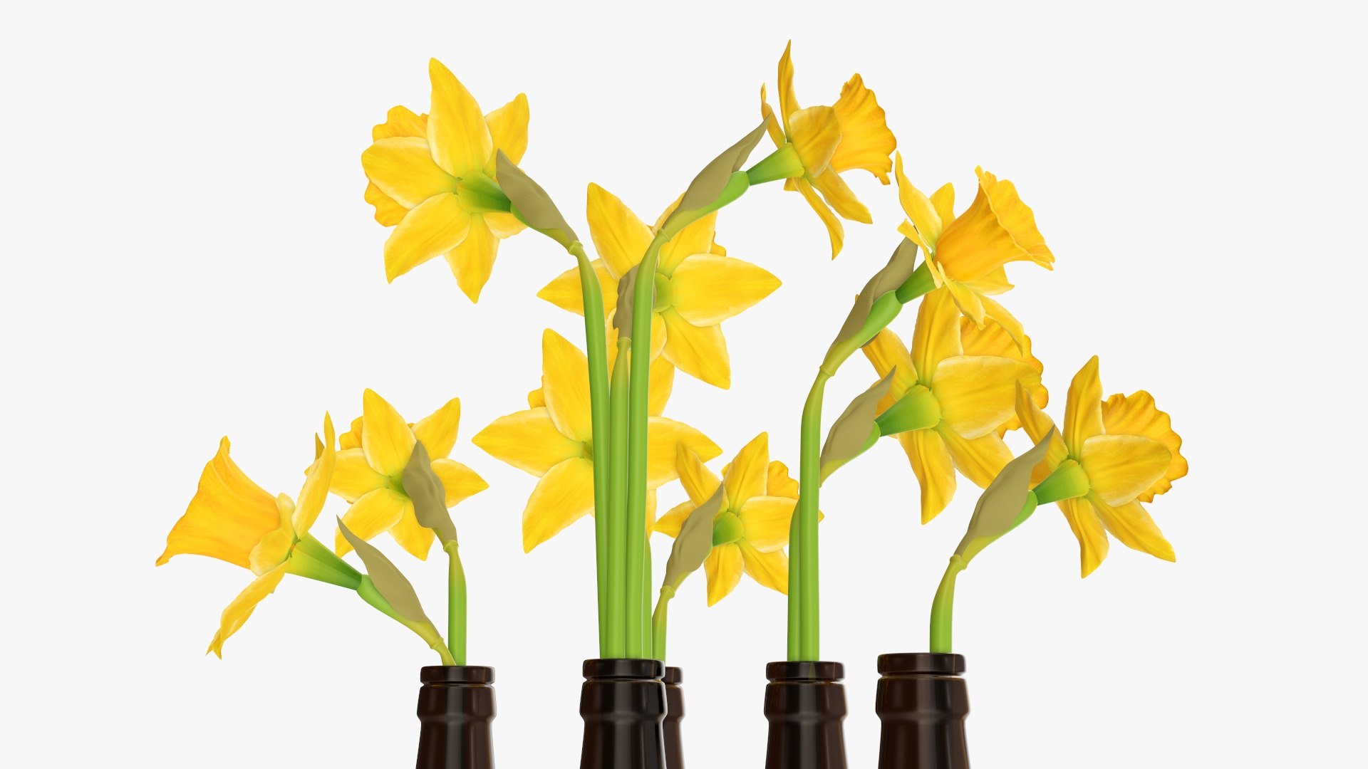 3D Pbr Color Model - TurboSquid 1546004