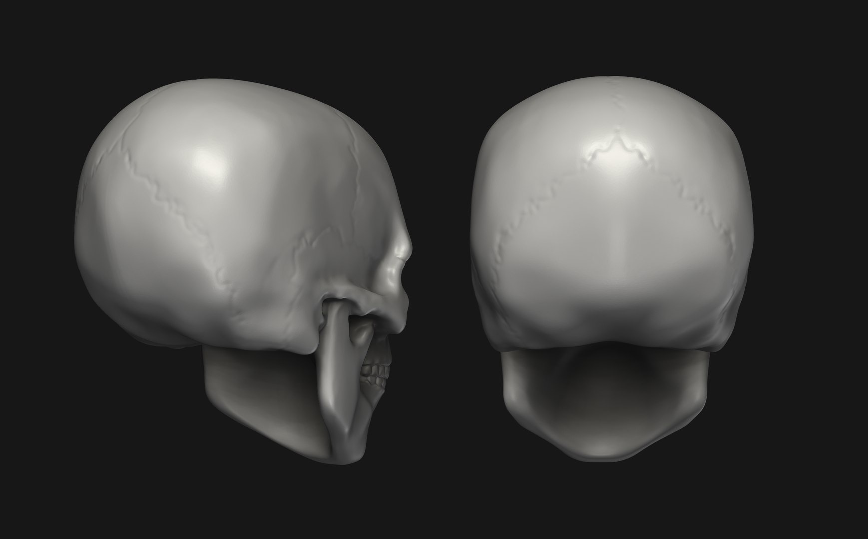 Skull Printing 3D Model - TurboSquid 1663811