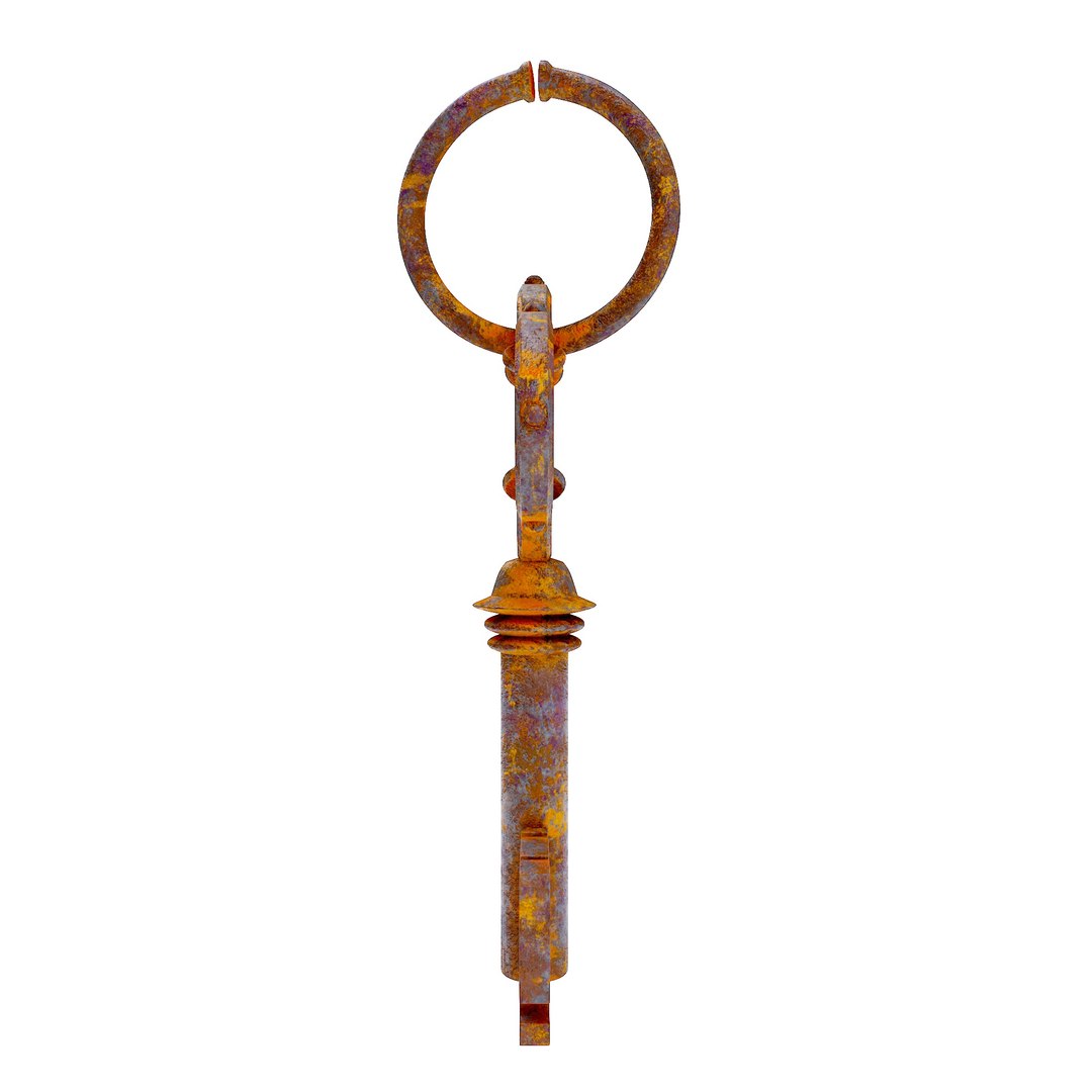 Old Skeleton Key Model - TurboSquid 1986686