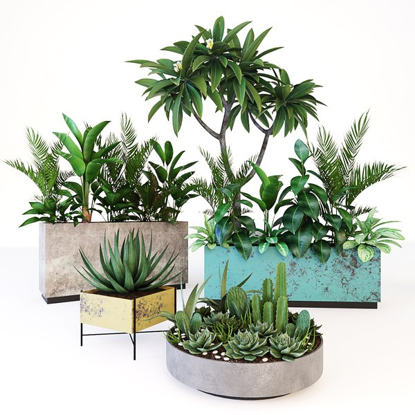 plant max