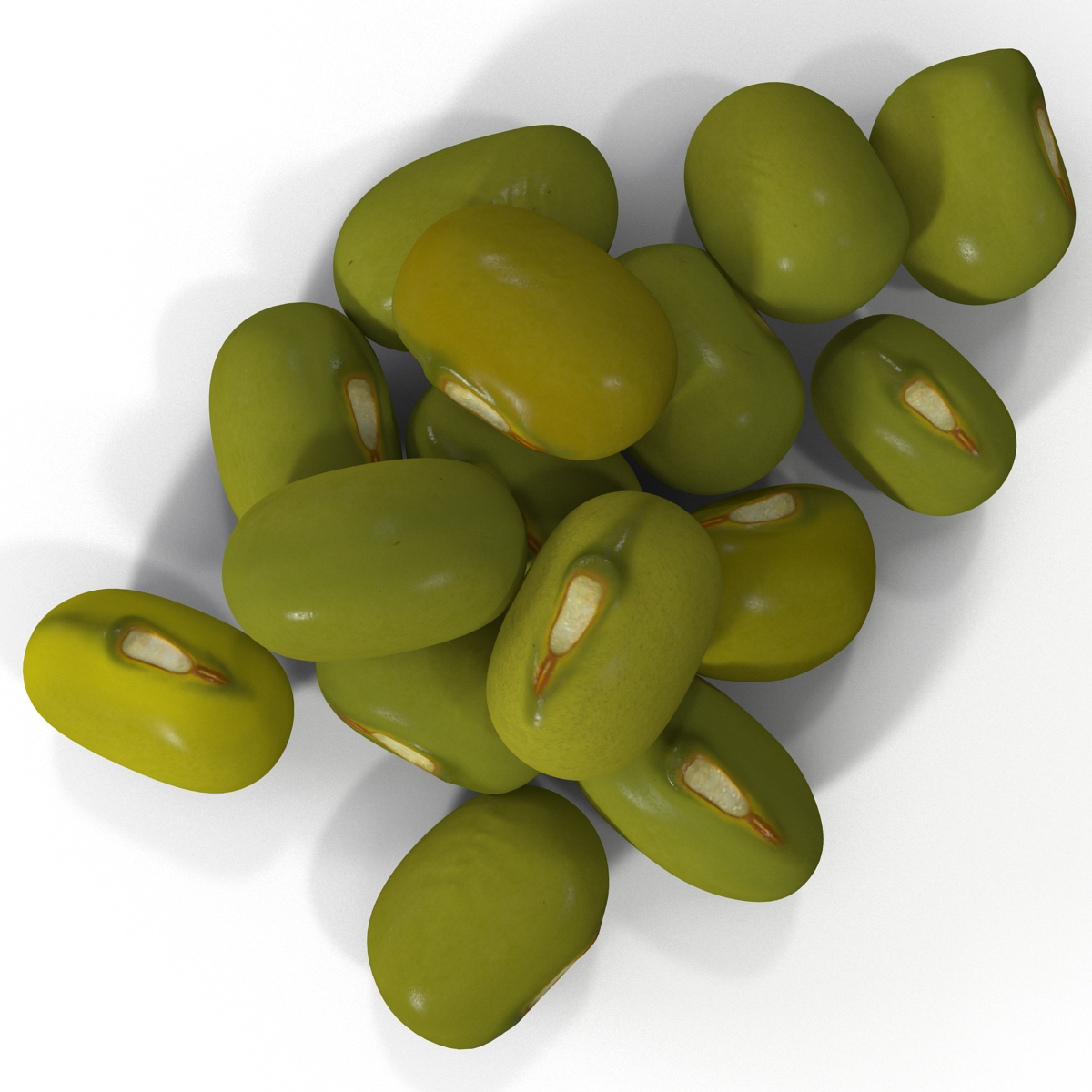 3d mung beans model