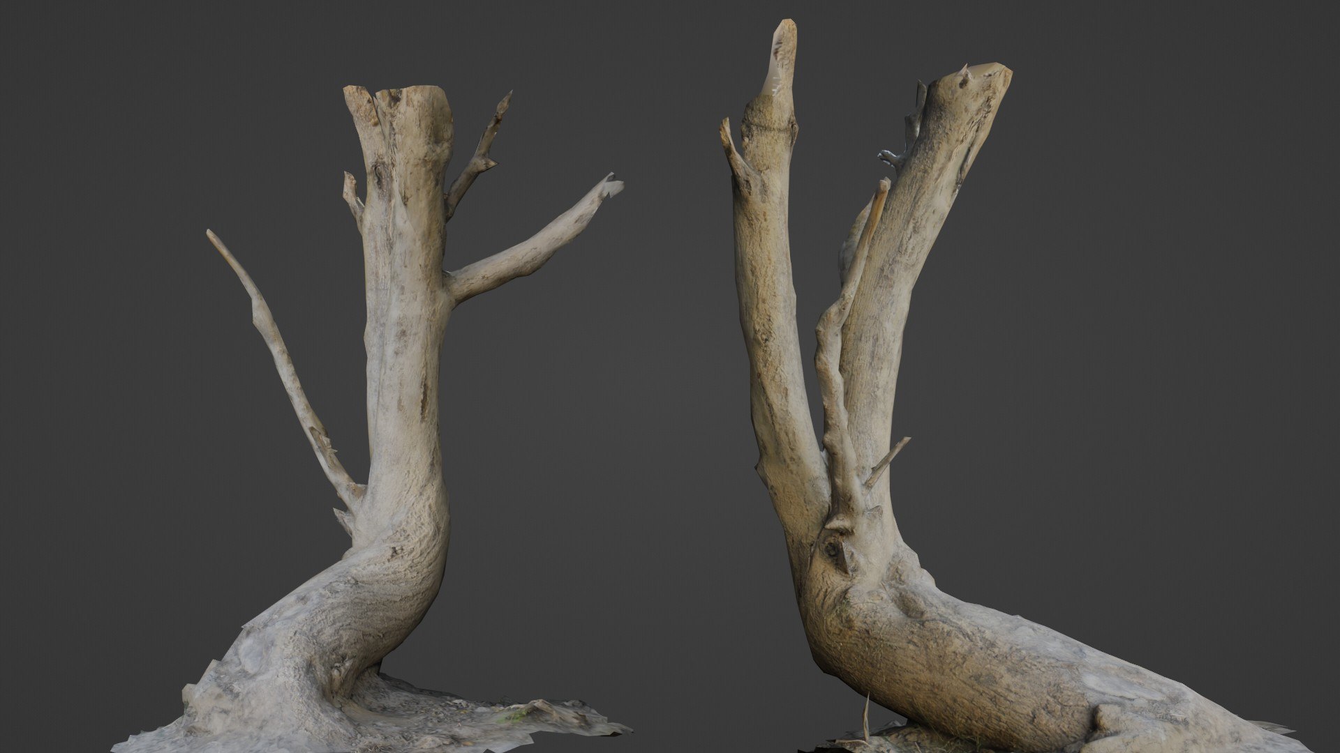3D Tilted Tree Trunk Model - TurboSquid 2332135