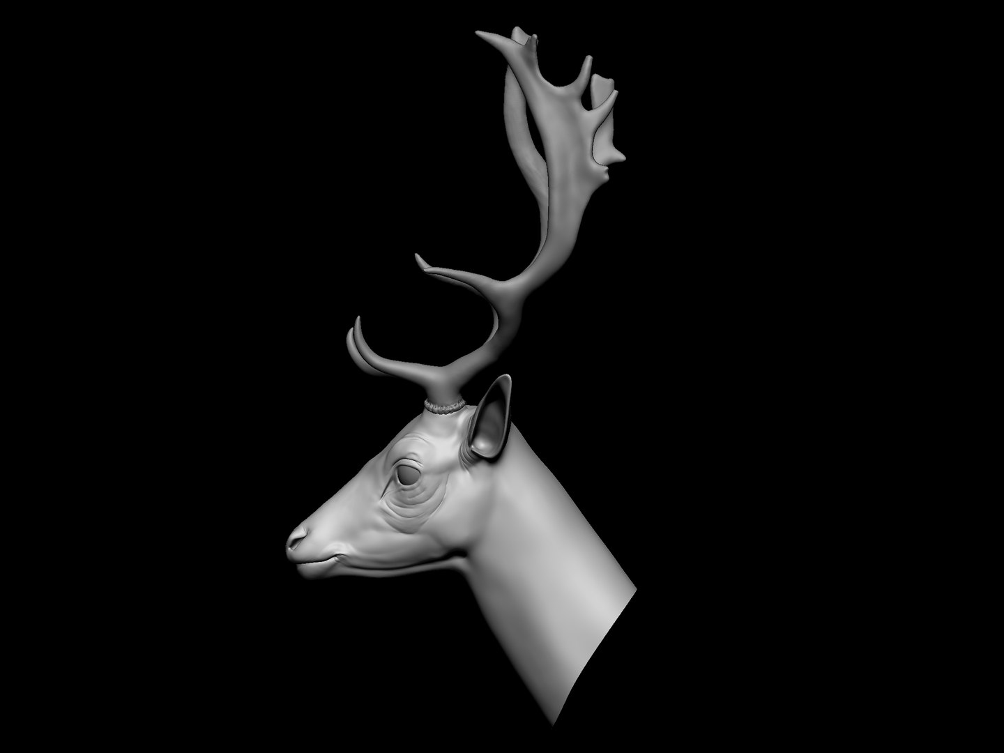 3D Red Deer Head - TurboSquid 2008805