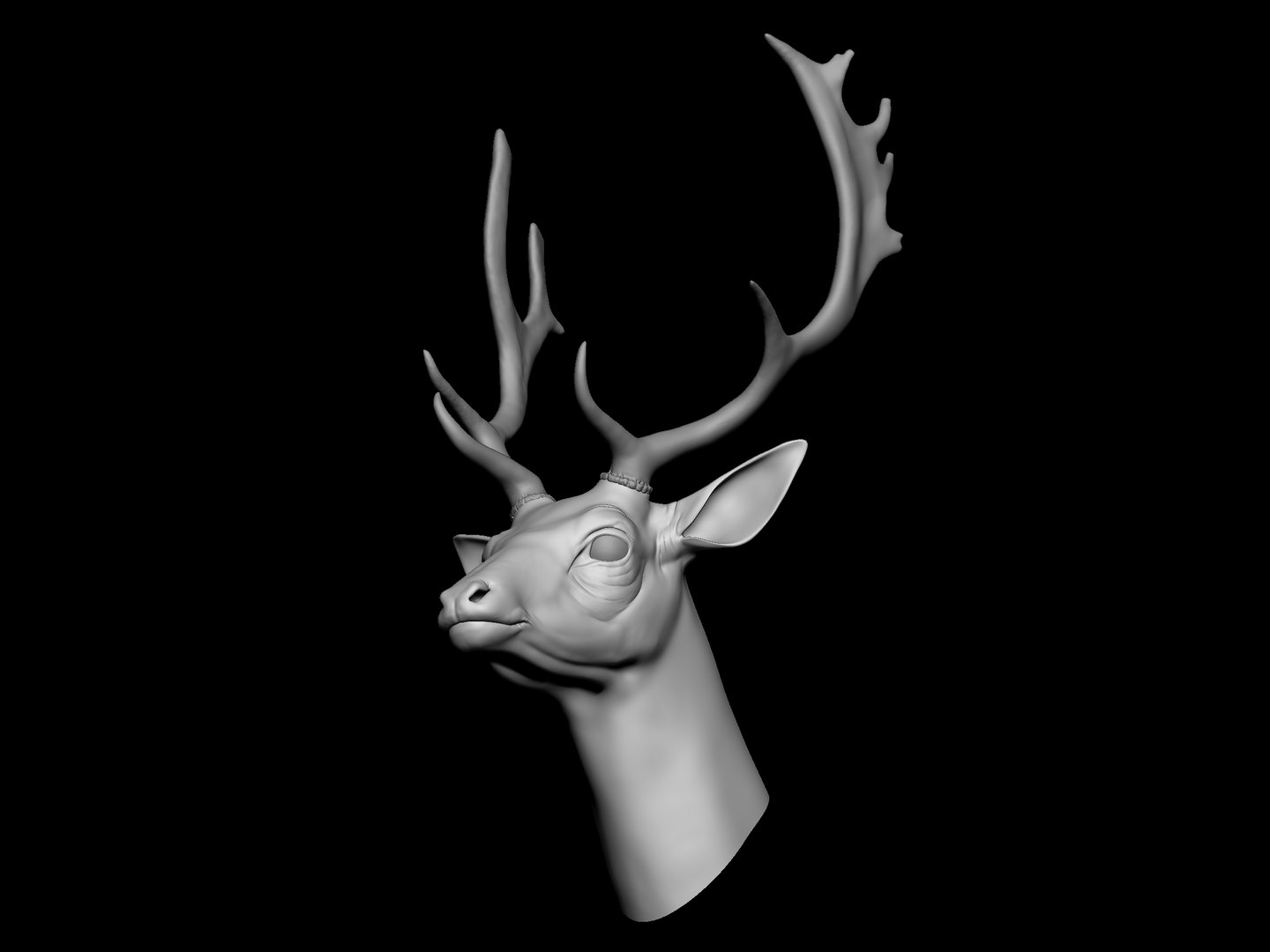 3D Red Deer Head - TurboSquid 2008805