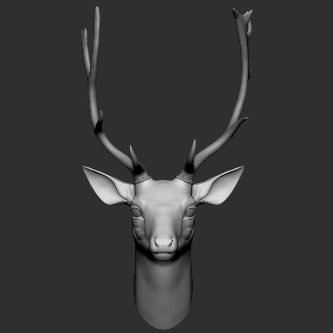 3D Red Deer Head - TurboSquid 2008805