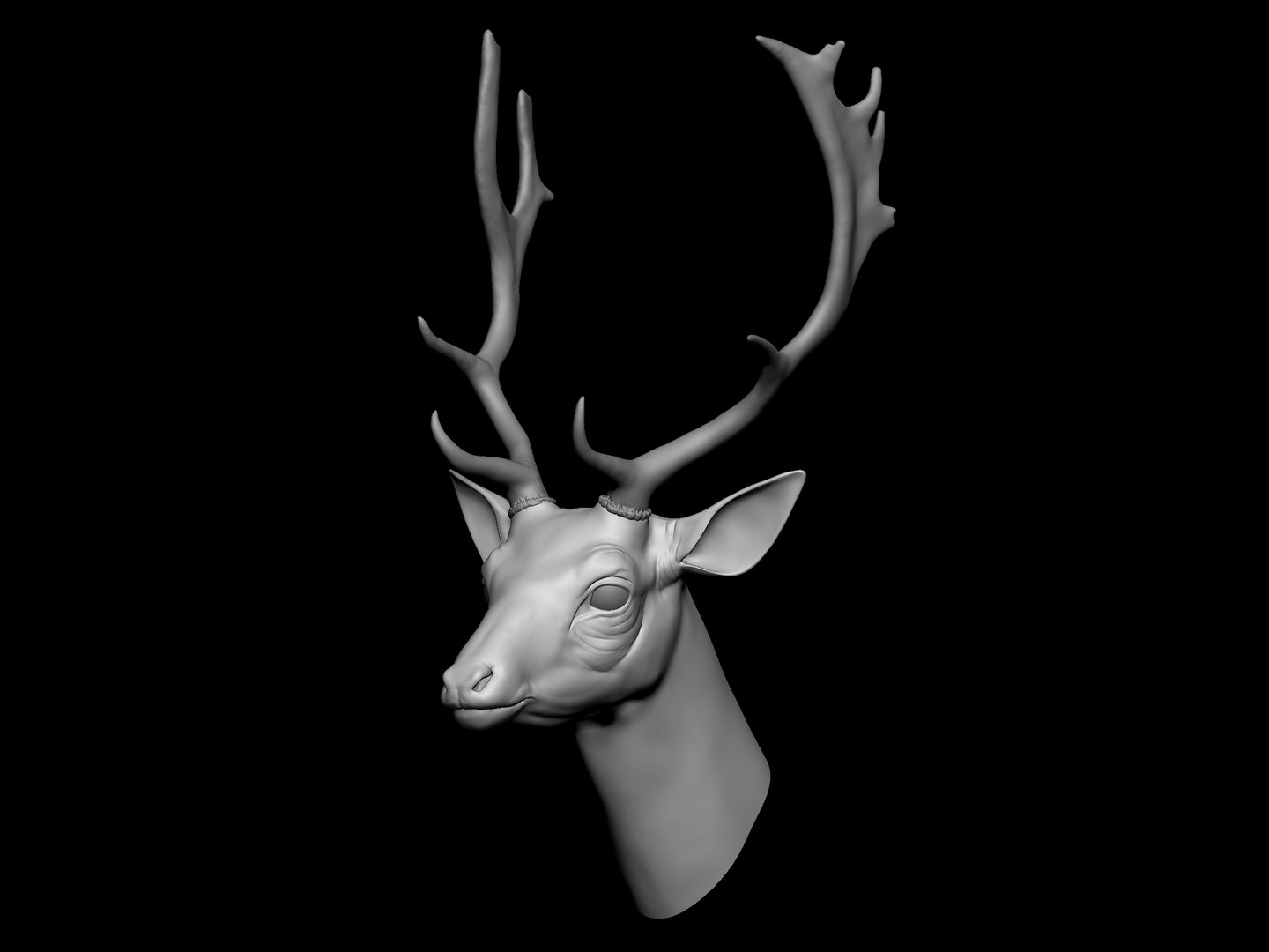3D Red Deer Head - TurboSquid 2008805