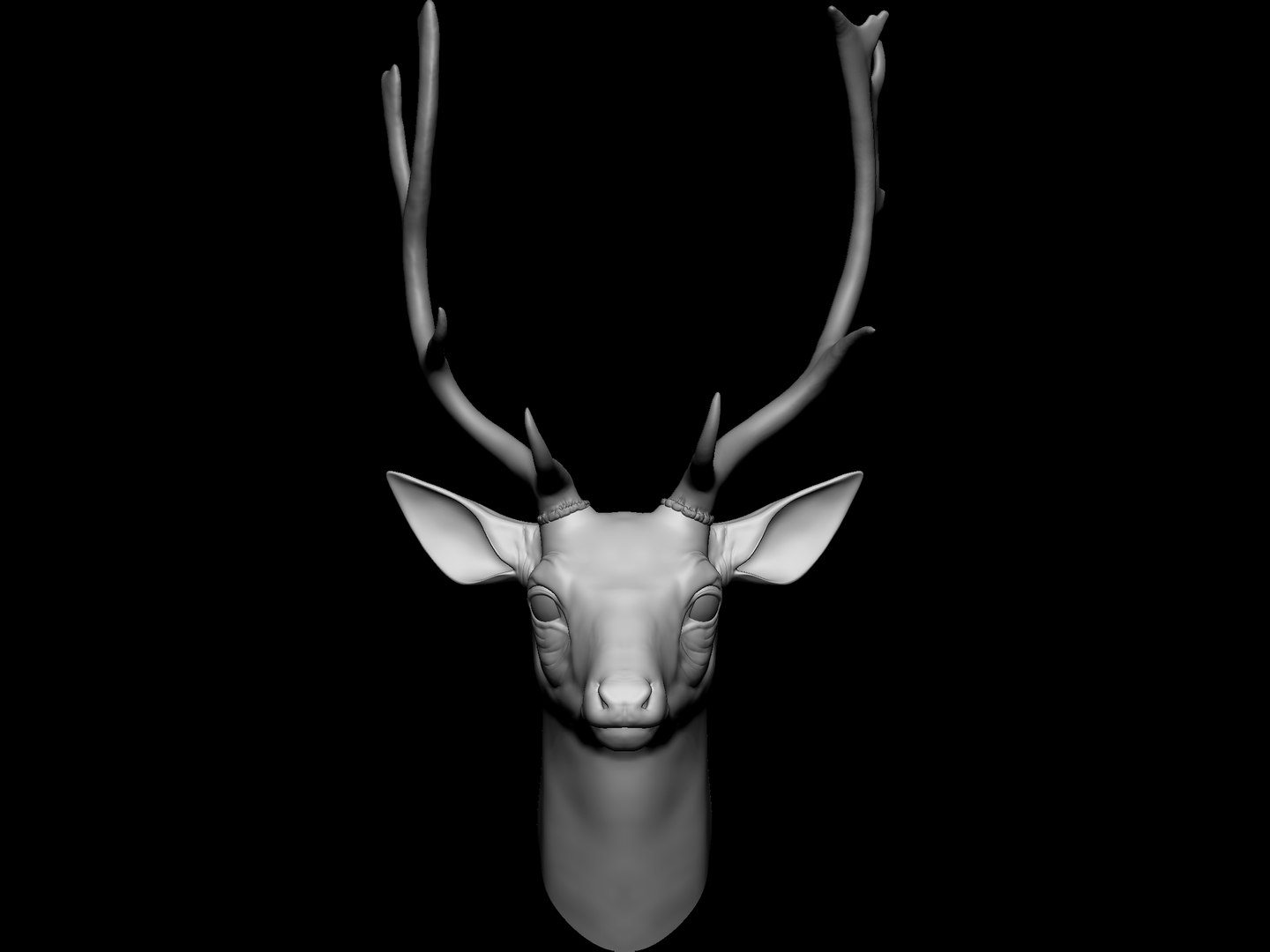 3D Red Deer Head - TurboSquid 2008805