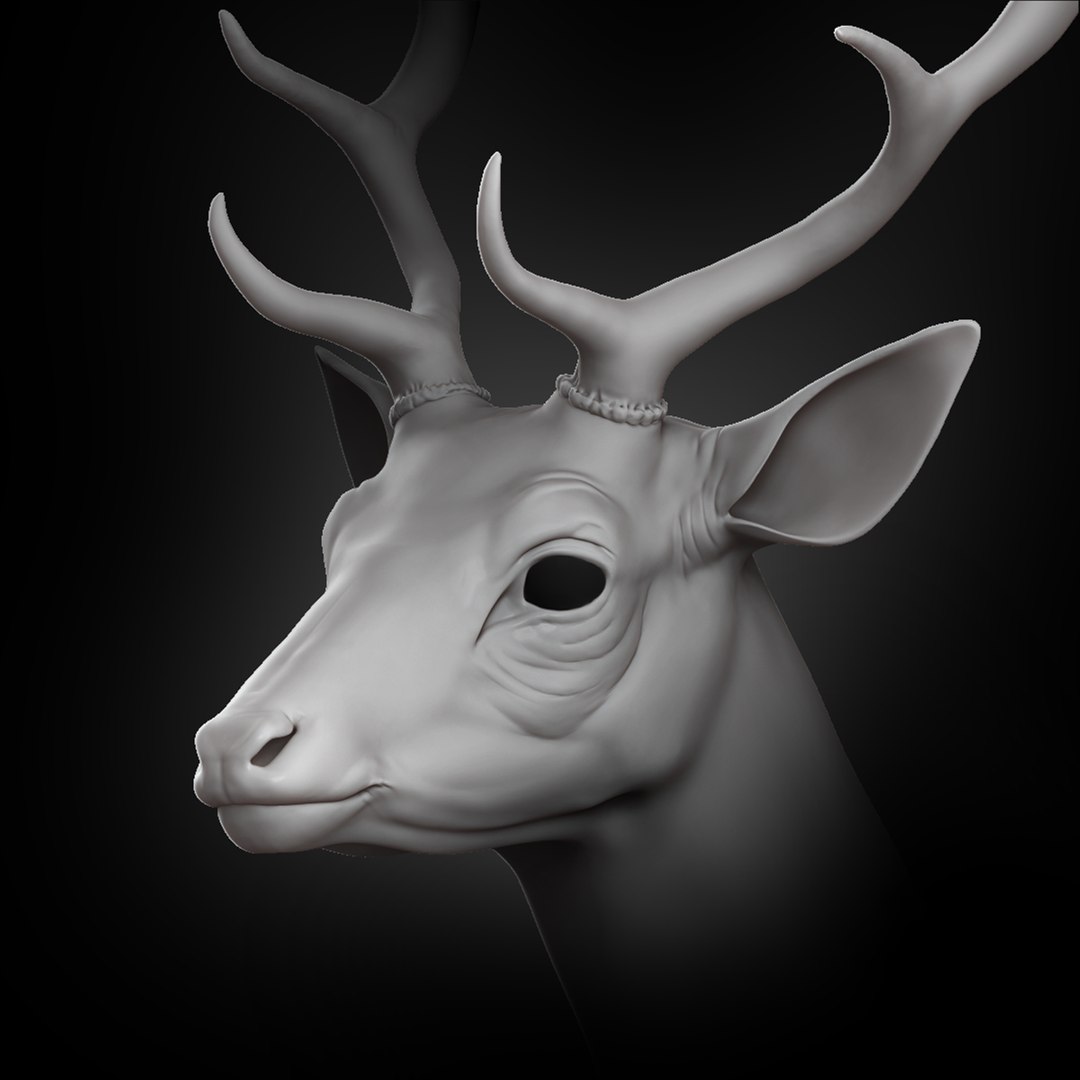 3D Red Deer Head - TurboSquid 2008805