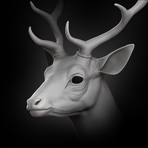3D Deer Head Base Mesh Model - TurboSquid 1677724
