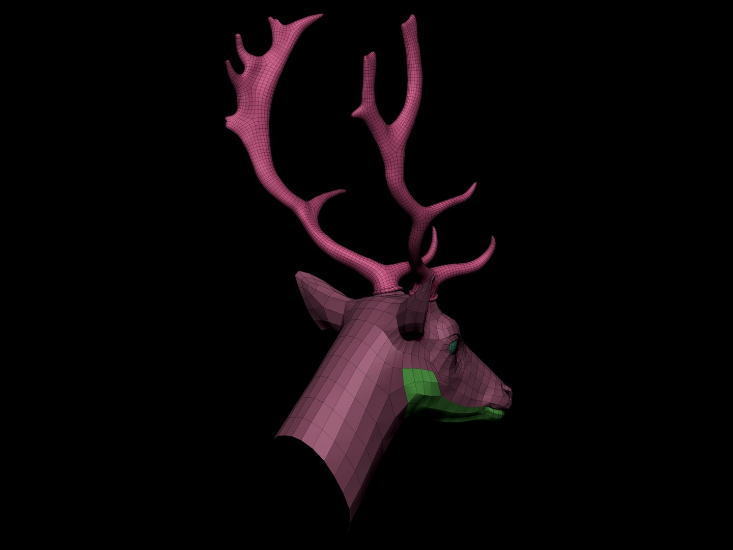 3D Red Deer Head - TurboSquid 2008805