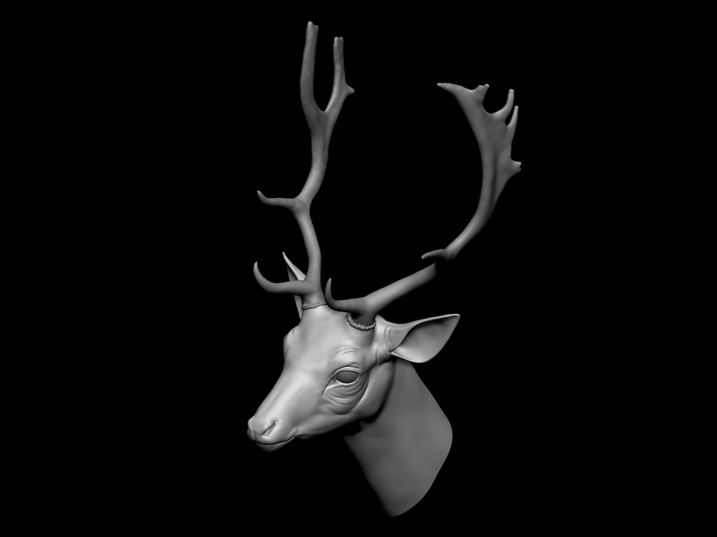 3D Red Deer Head - TurboSquid 2008805