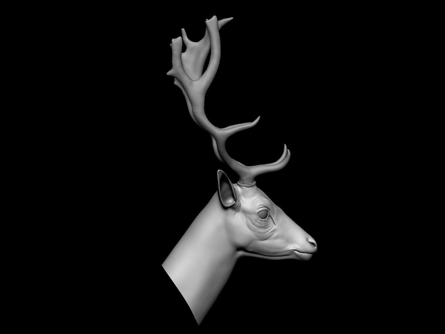 3D Red Deer Head - TurboSquid 2008805