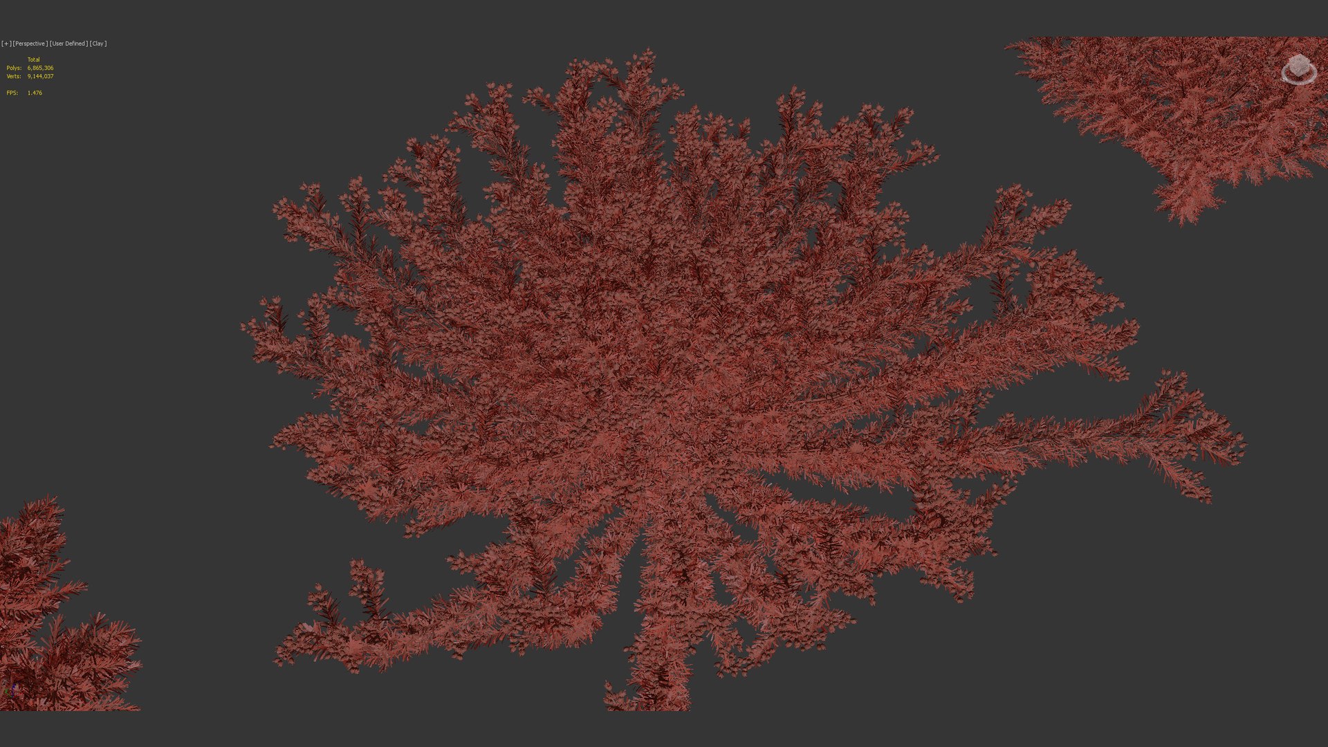 Erica Arborea Tree Heath 3D Model - TurboSquid 2109704