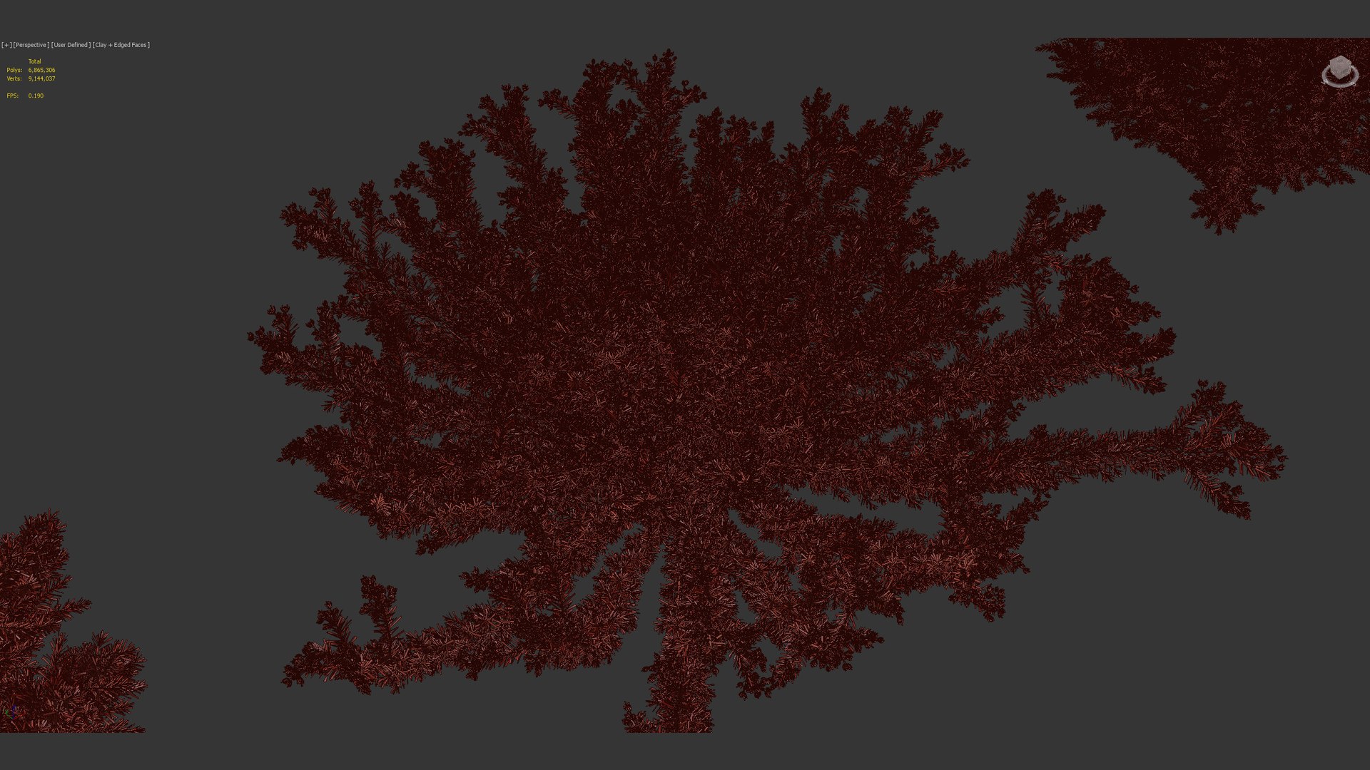 Erica Arborea Tree Heath 3D Model - TurboSquid 2109704