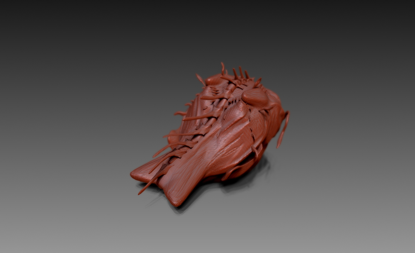 free weird fish swp 3d model