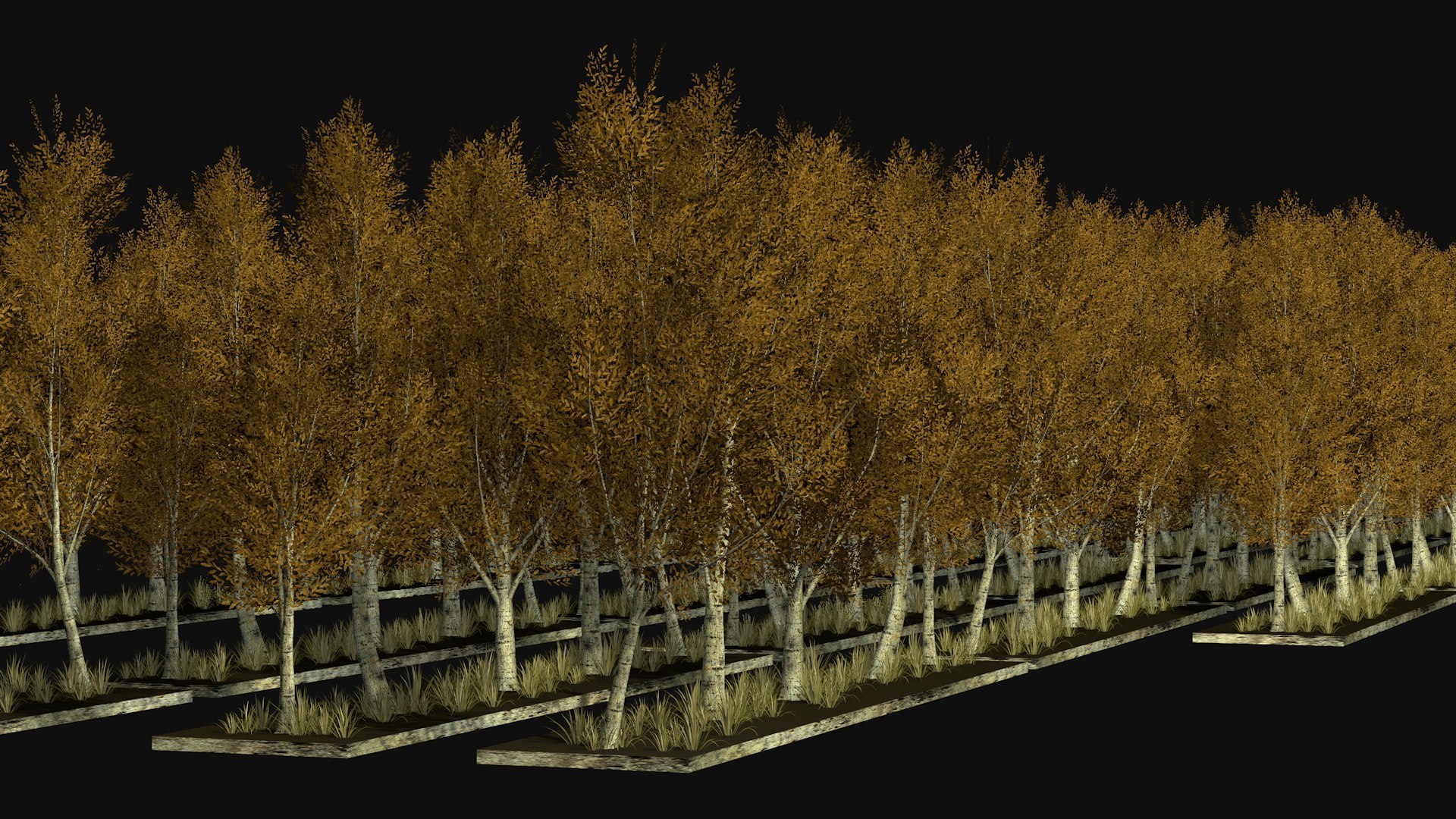 3D Autumn Low Poly Trees Five Birches Low-poly - TurboSquid 2320145