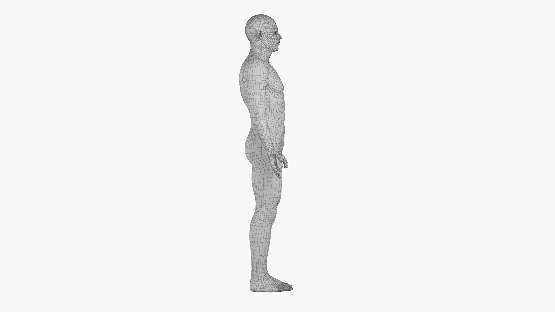 3D Male Body model - TurboSquid 1714555