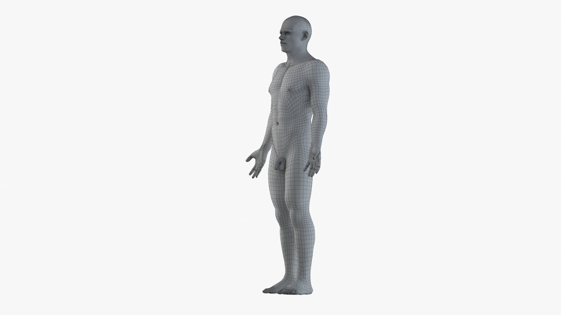 3D Male Body Model - TurboSquid 1714555