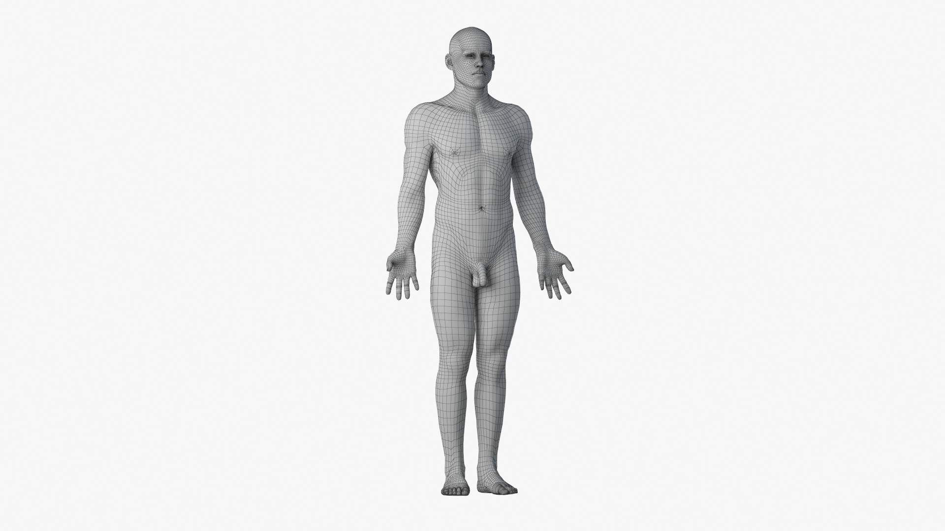 3D Male Body model - TurboSquid 1714555
