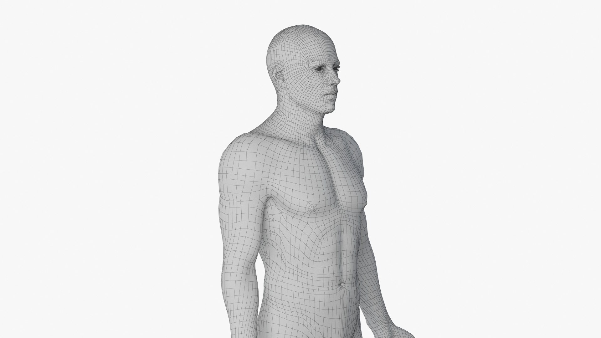 3D Male Body Model - TurboSquid 1714555