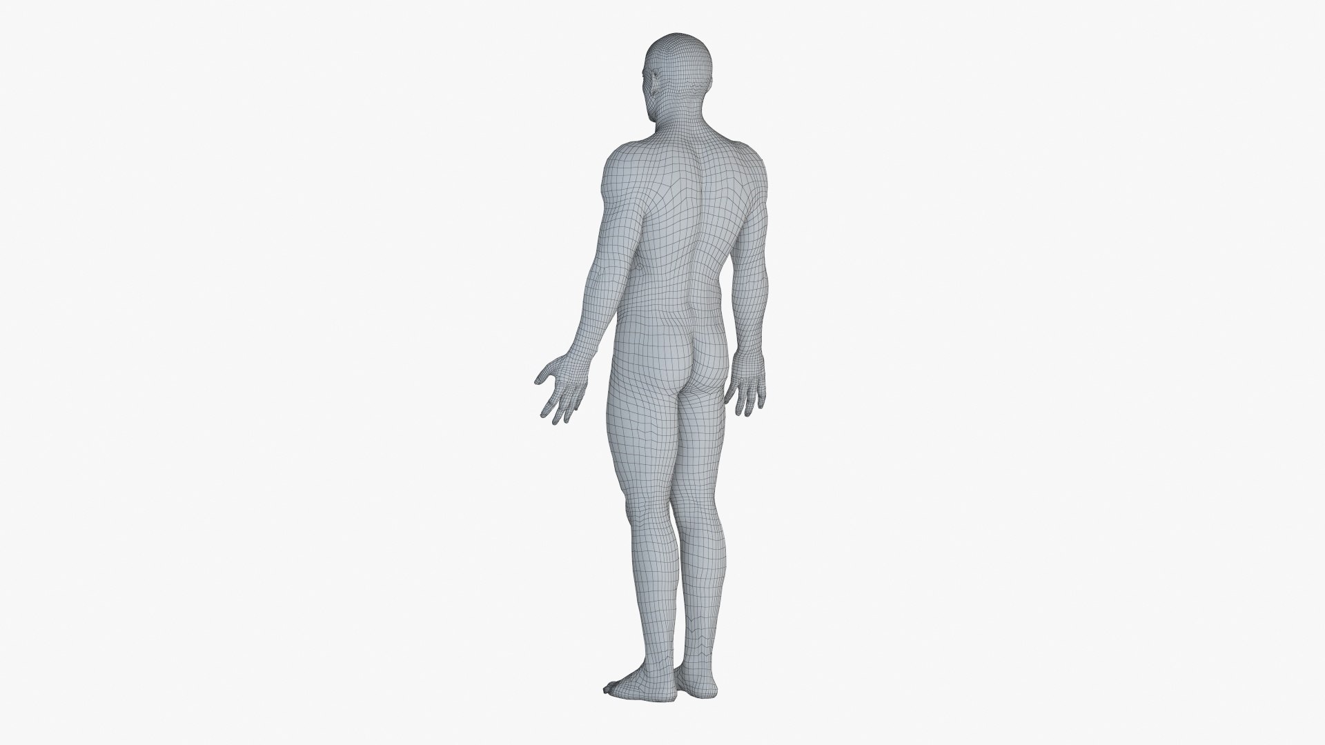 3D Male Body Model - TurboSquid 1714555