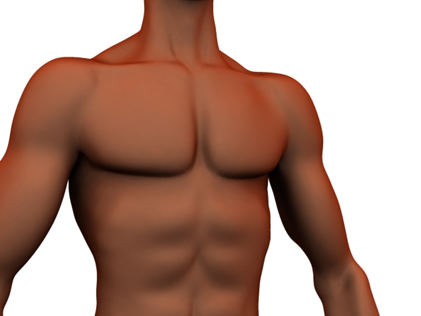 Character Humanoid Max