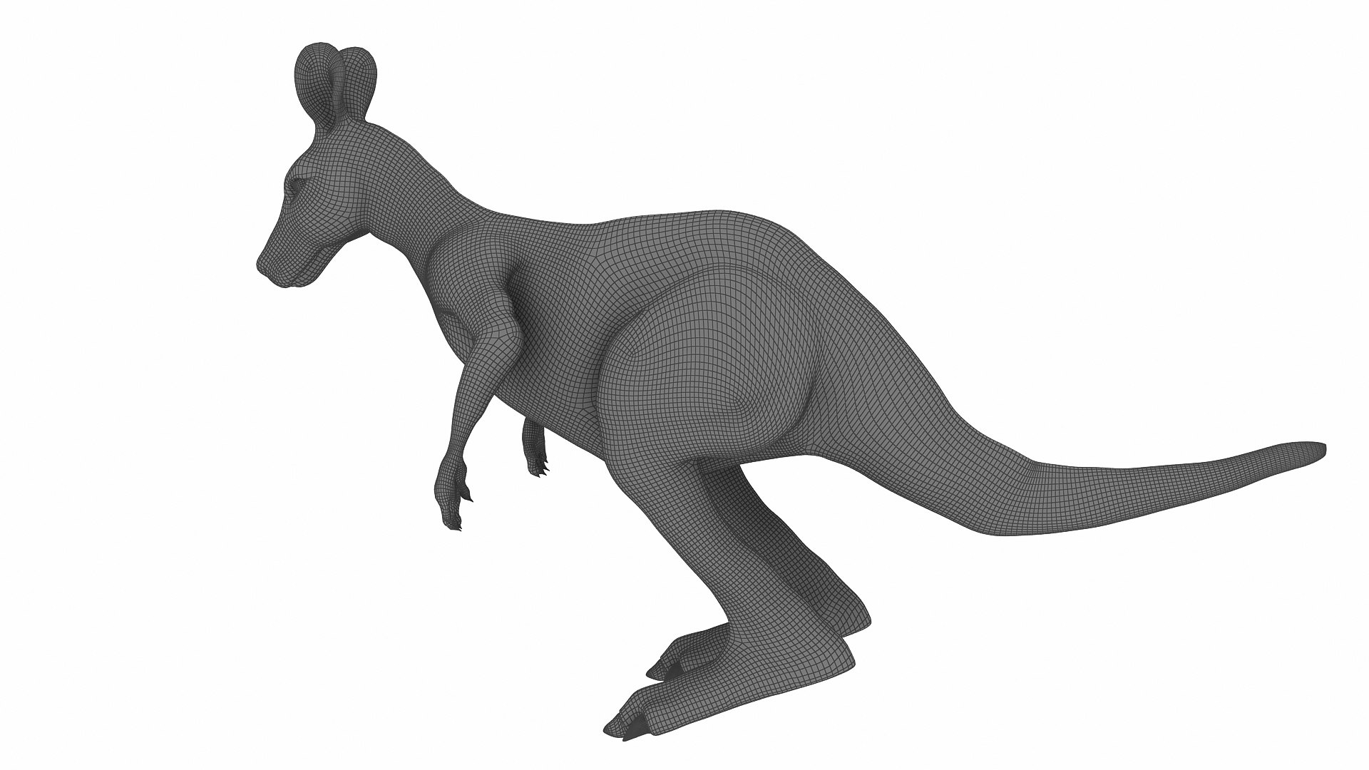 3D Marsupial Mammal Kangaroo - TurboSquid 1444153