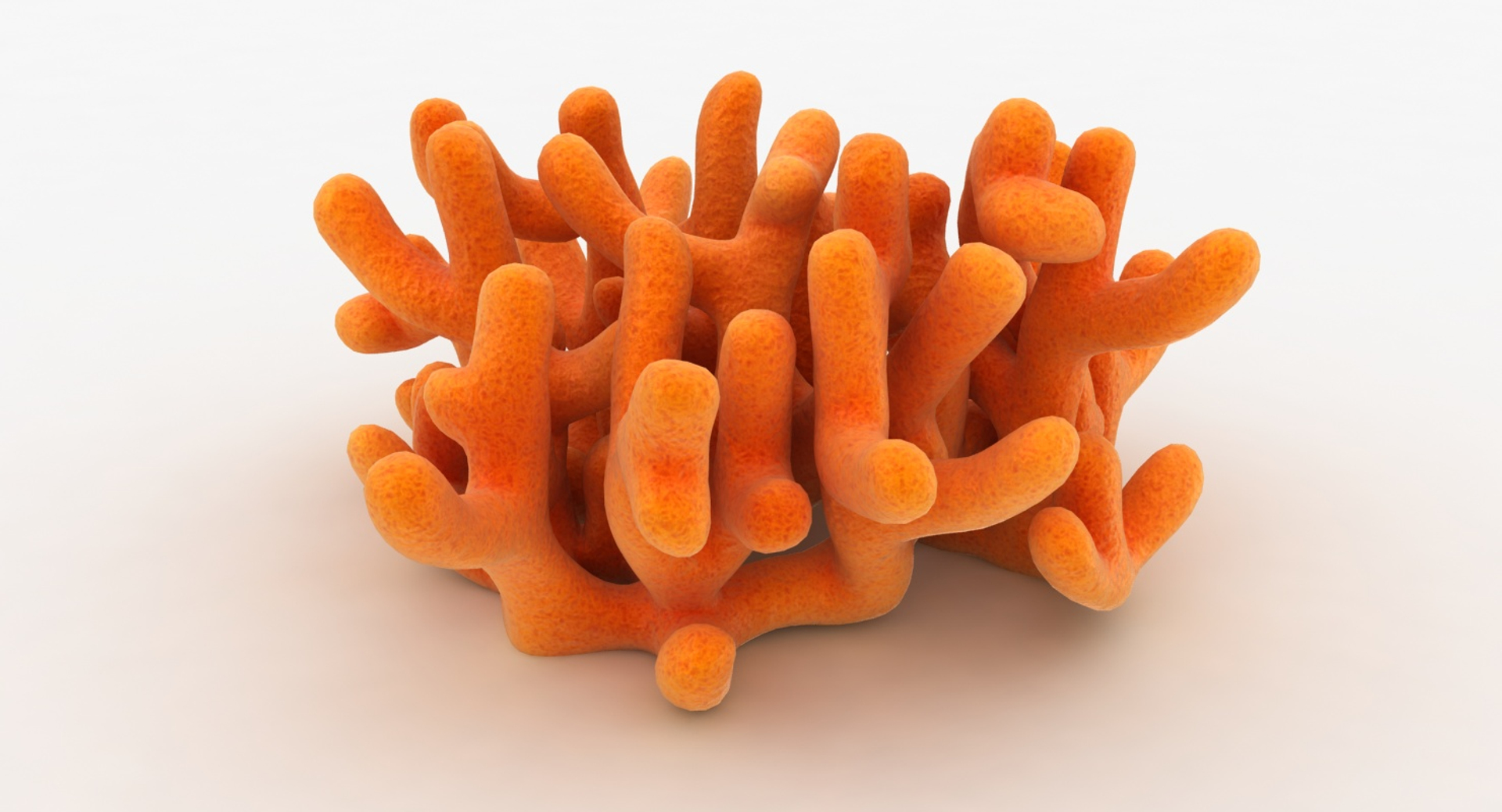 3D Realistic Orange Tree Sponge - TurboSquid 1370239
