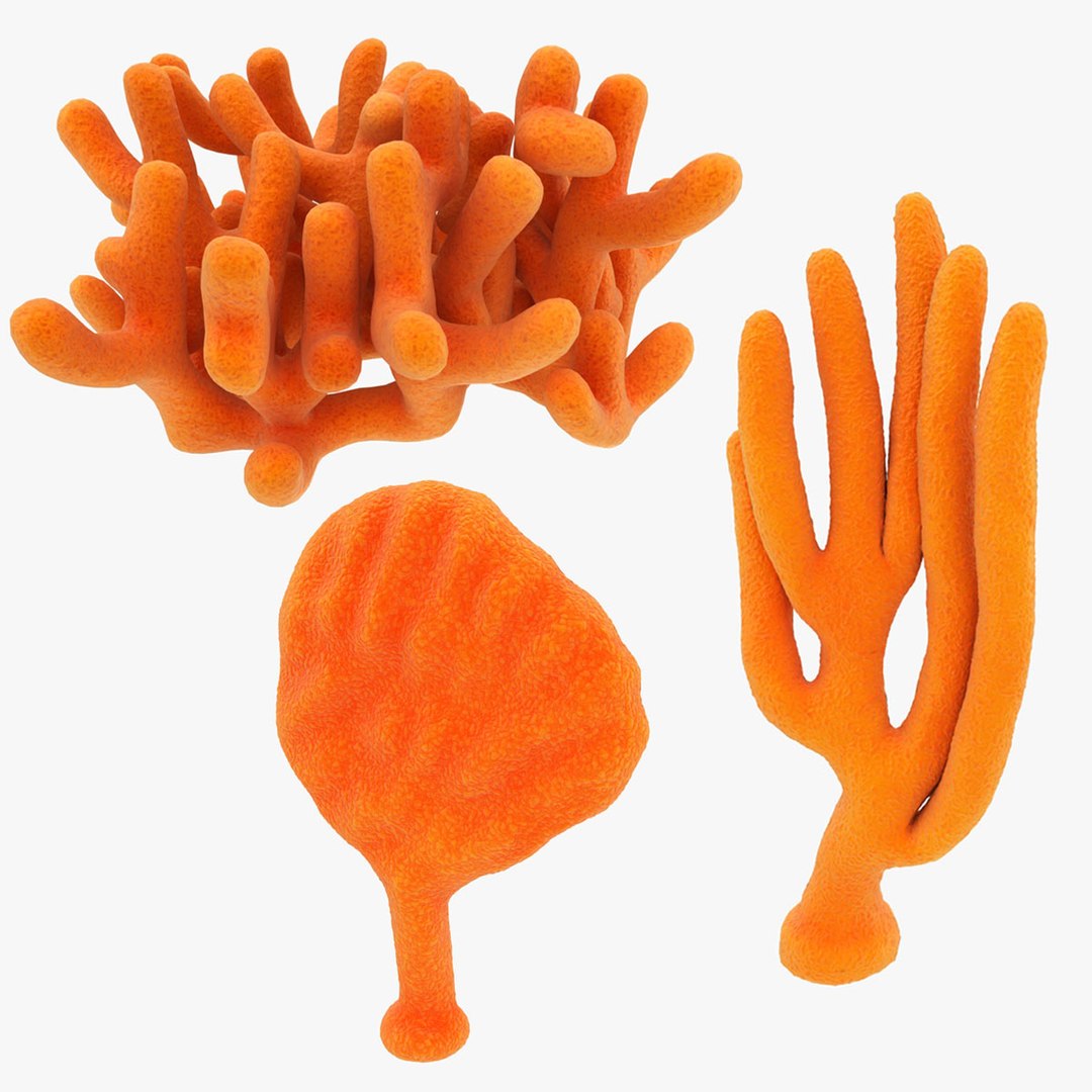 3D Realistic Orange Tree Sponge - TurboSquid 1370239