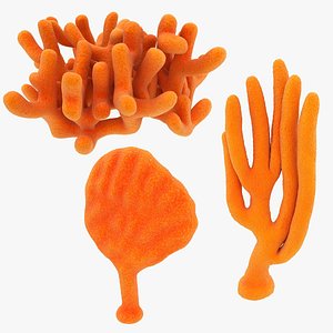 3D realistic orange tree sponge model - TurboSquid 1369404