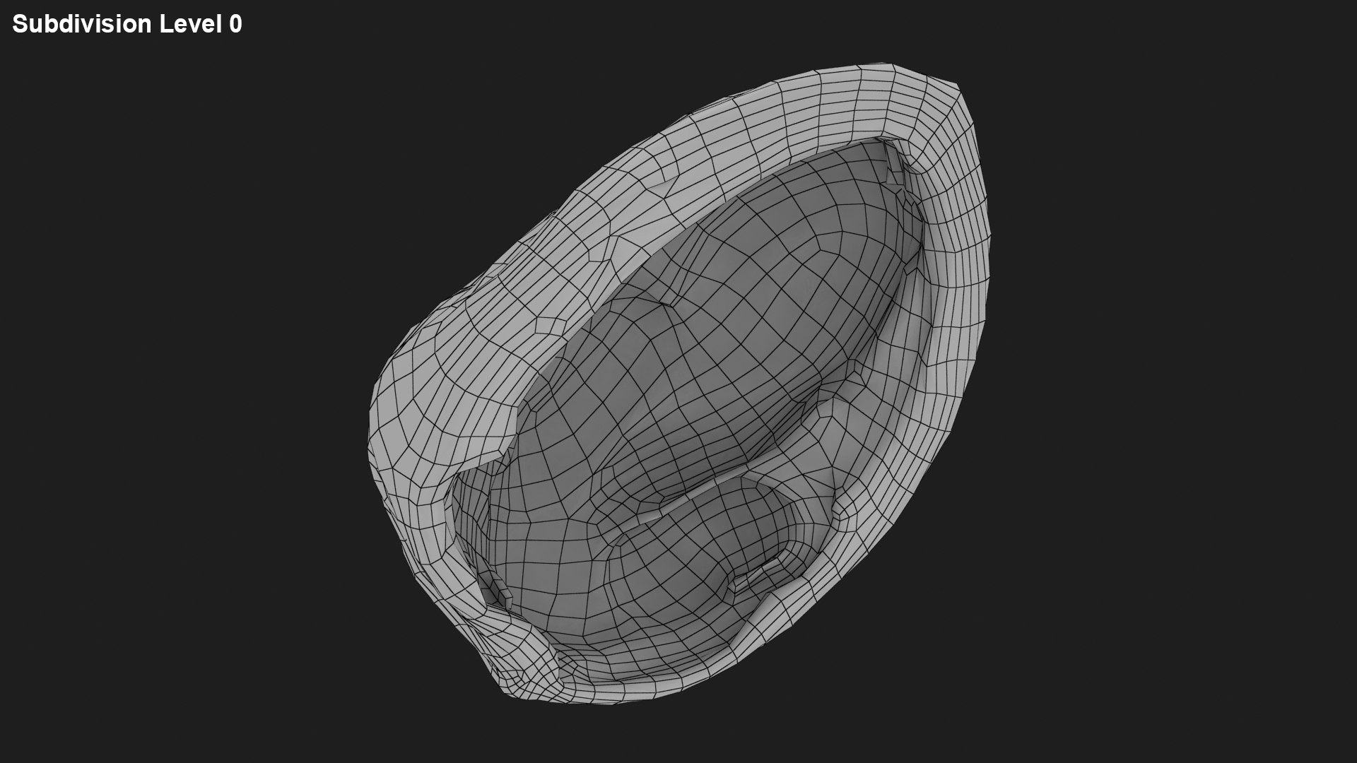 3D Walnut Collection Model - TurboSquid 2040415